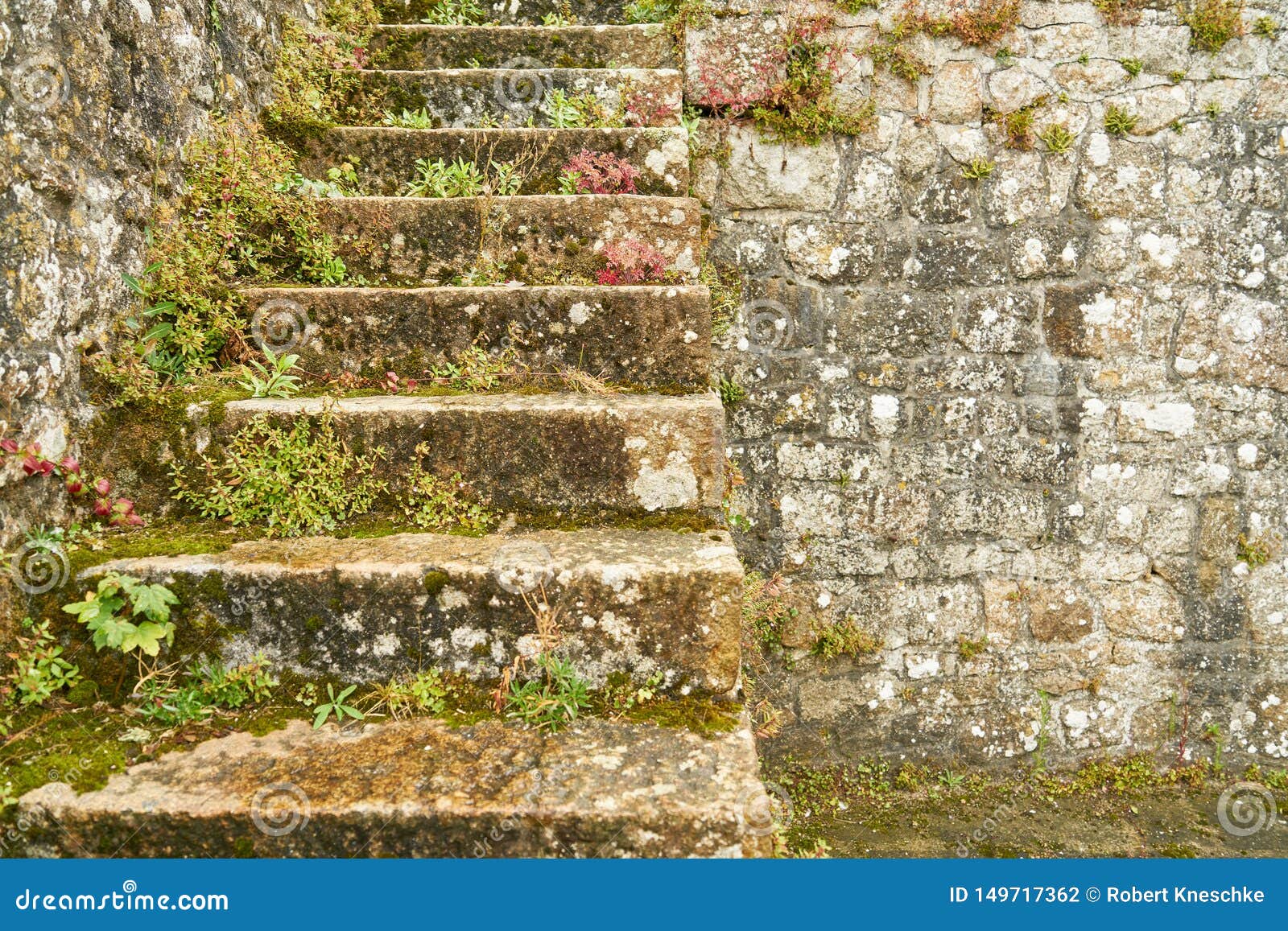Old stone staircase stock photo. Image of location, step - 149717362
