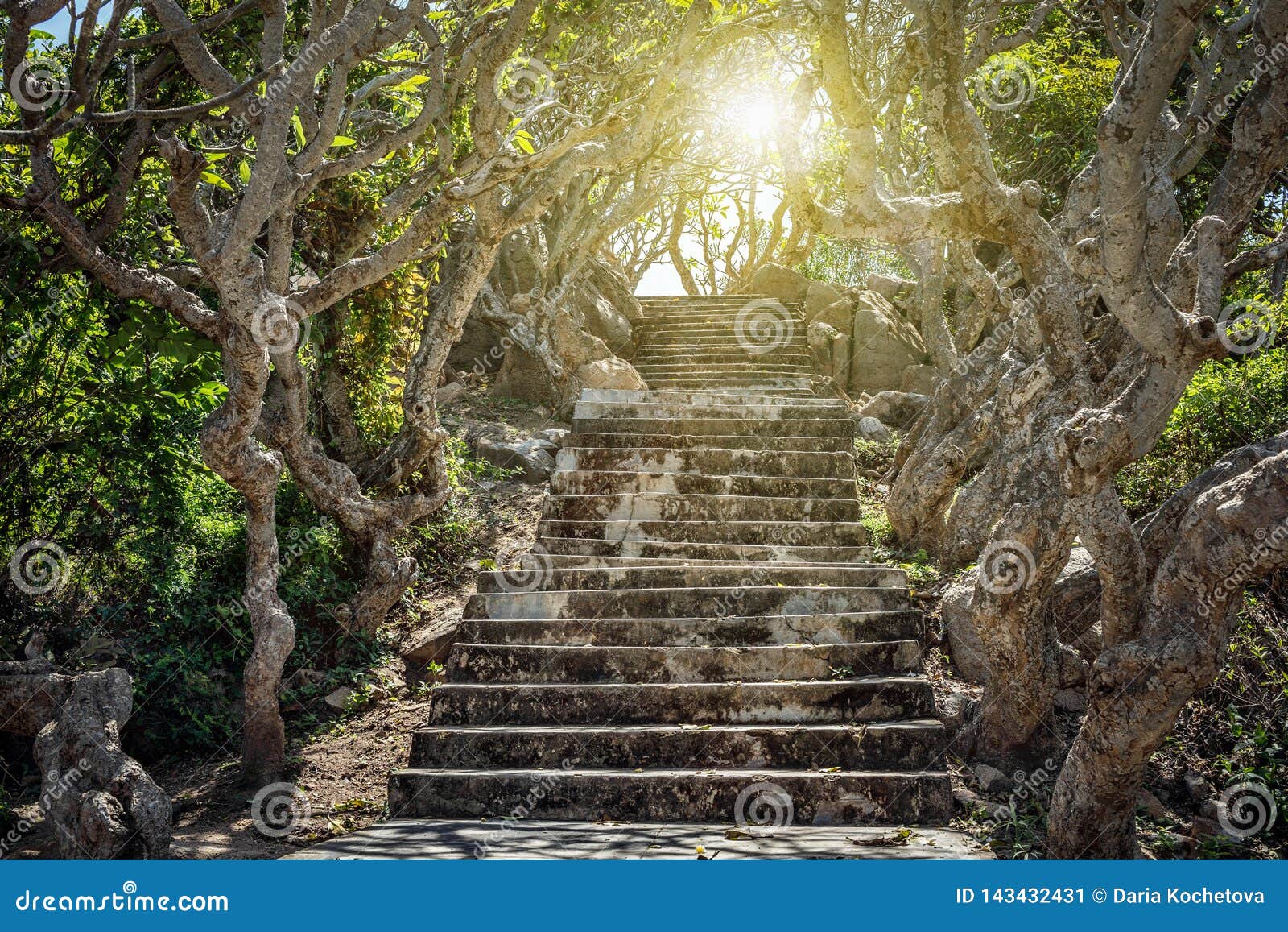 Old Stone Staircase in a Tropical Grove Stock Image - Image of rock ...