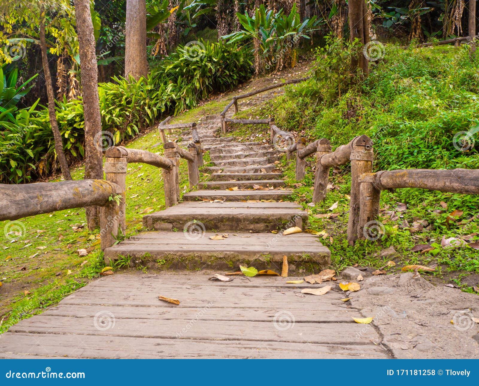 Old Stone Staircase, Walkway Steps on the Mountain Stock Photo - Image ...
