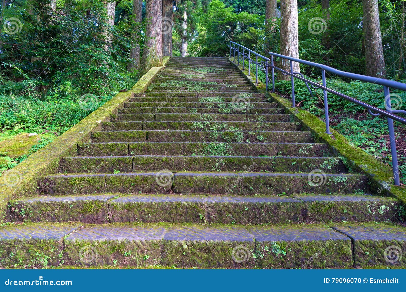Old Stone Stairs Covered with Moss and Lichen Stock Photo - Image of ... Old Stone Stairs Covered with Moss and Lichen Stock Photo - Image of ...