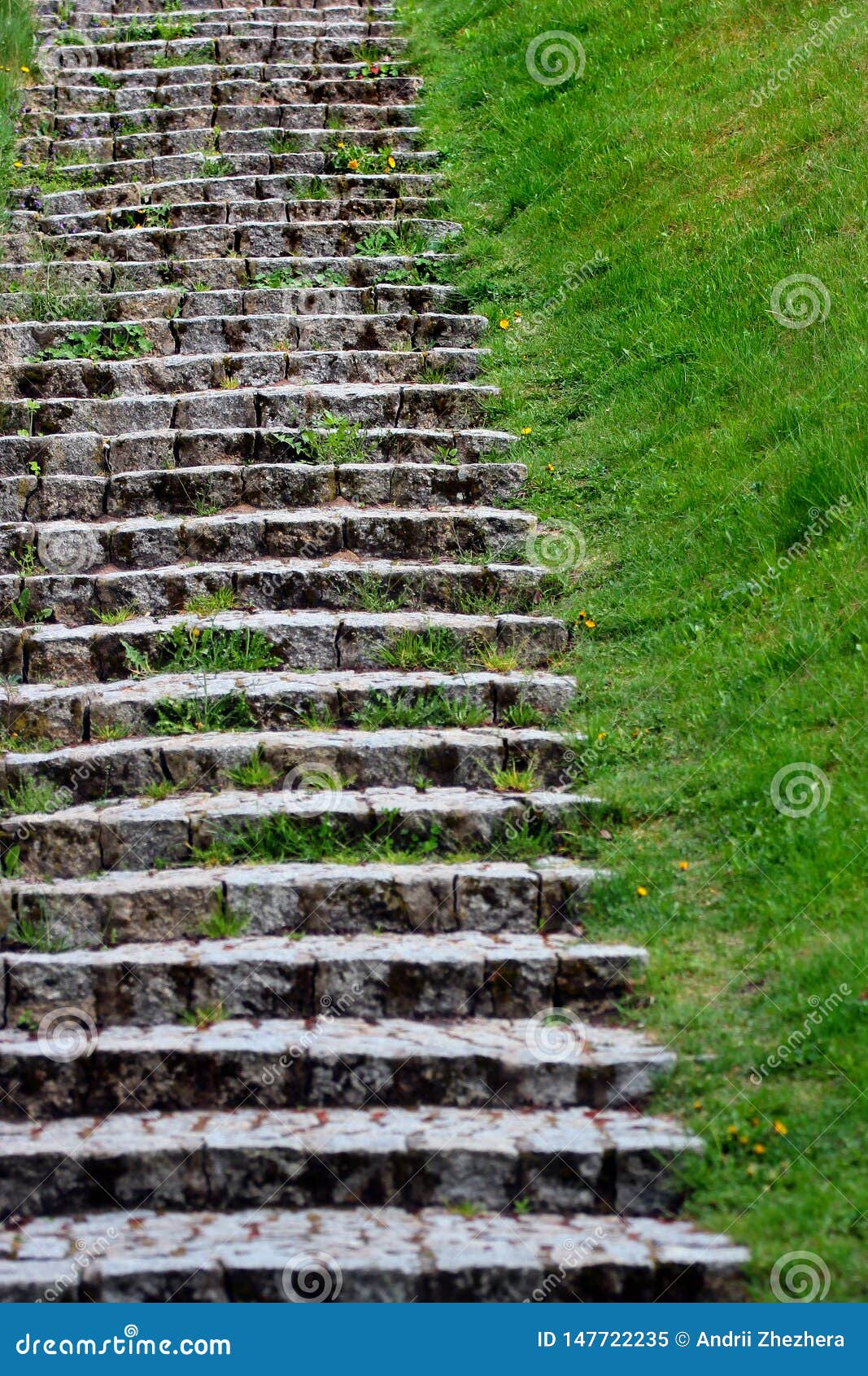 Old Stone Stairs on Green Grassy Slope Stock Image - Image of garden ...