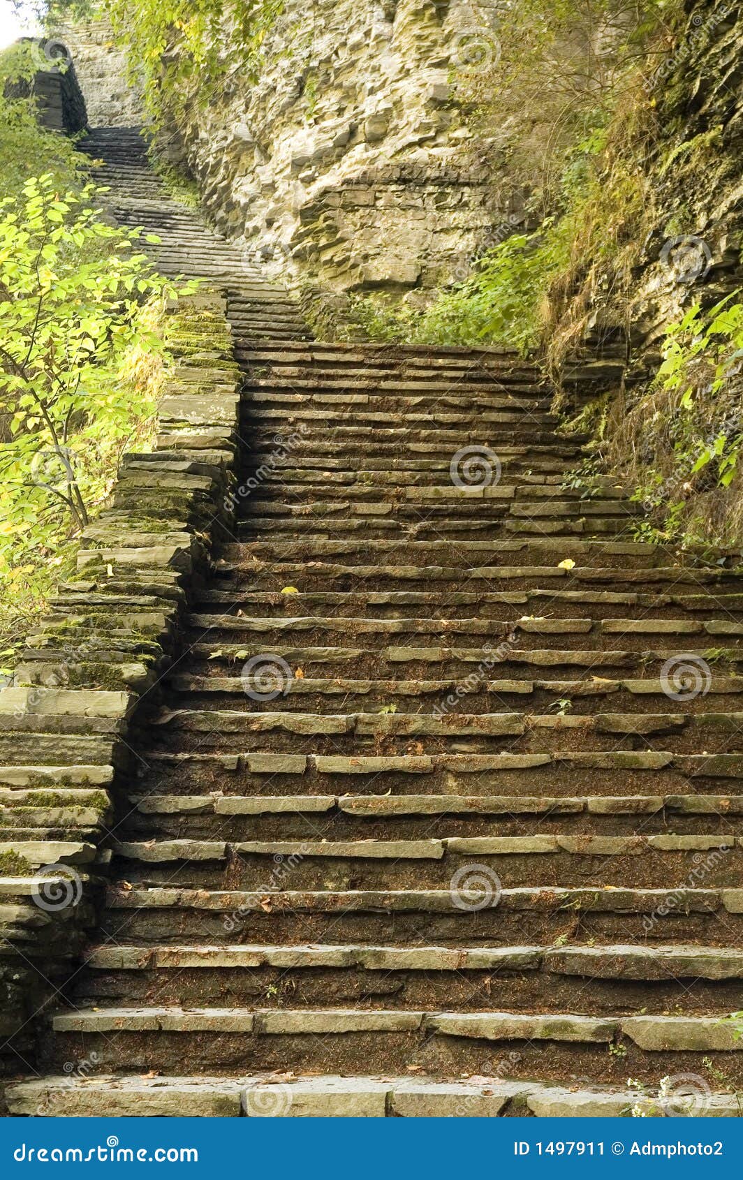 Old stone stairway stock image. Image of rock, aged, green - 1497911