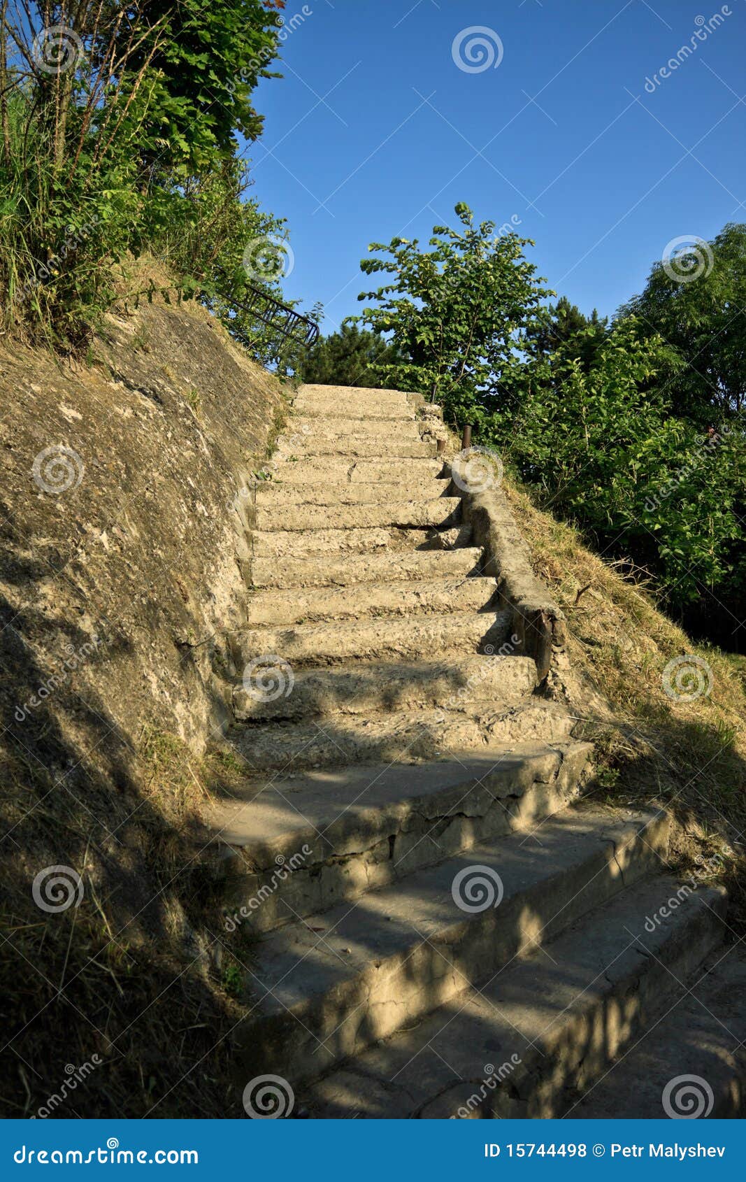 Old stone stairway stock photo. Image of tree, trees - 15744498