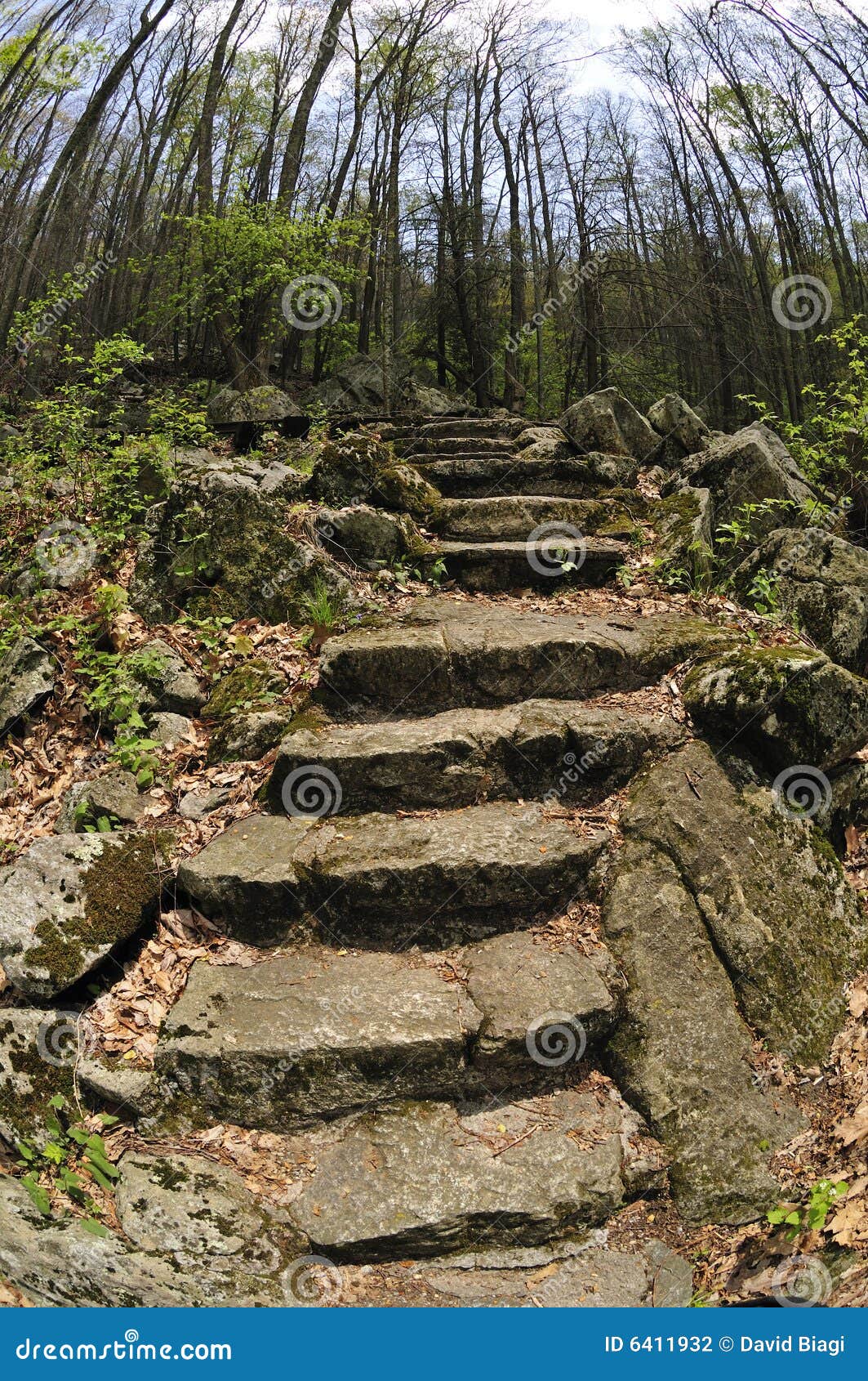 Old Stone Steps stock photo. Image of tourism, woods, abandoned - 6411932