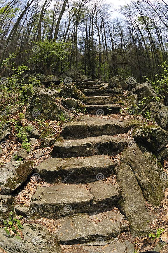 Old Stone Steps stock photo. Image of tourism, woods, abandoned - 6411932