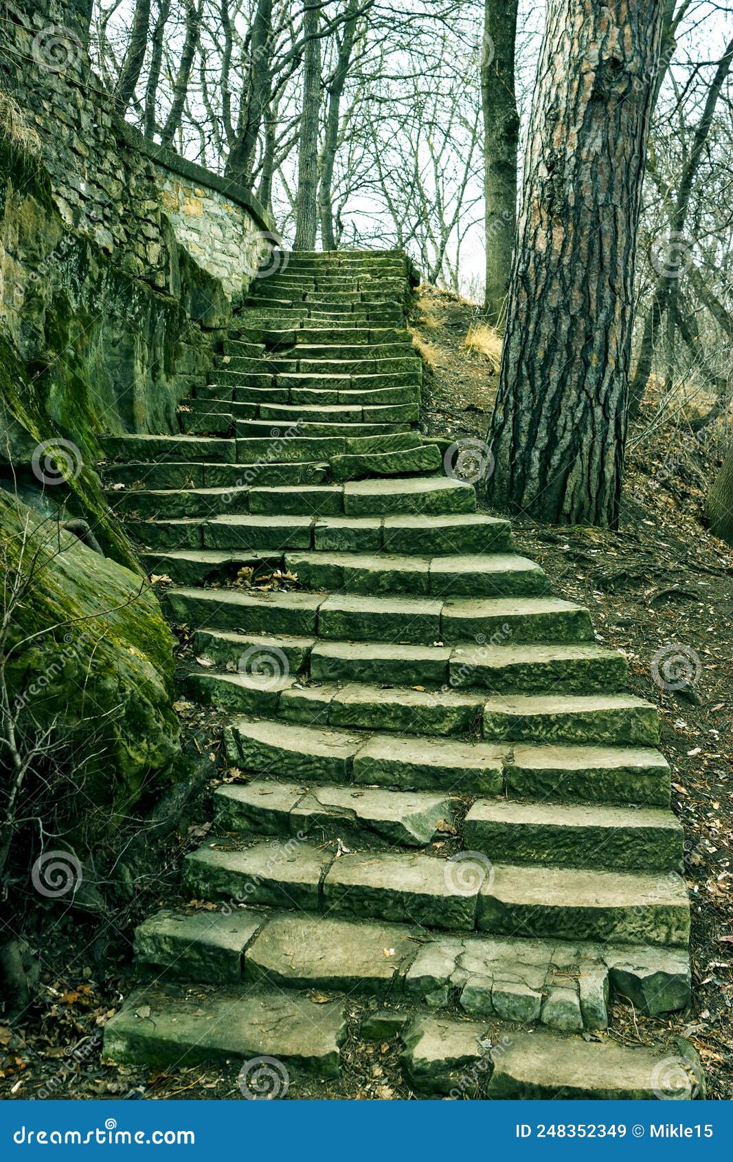 Old Stone Steps in the Park Stock Image - Image of hill, grass: 248352349