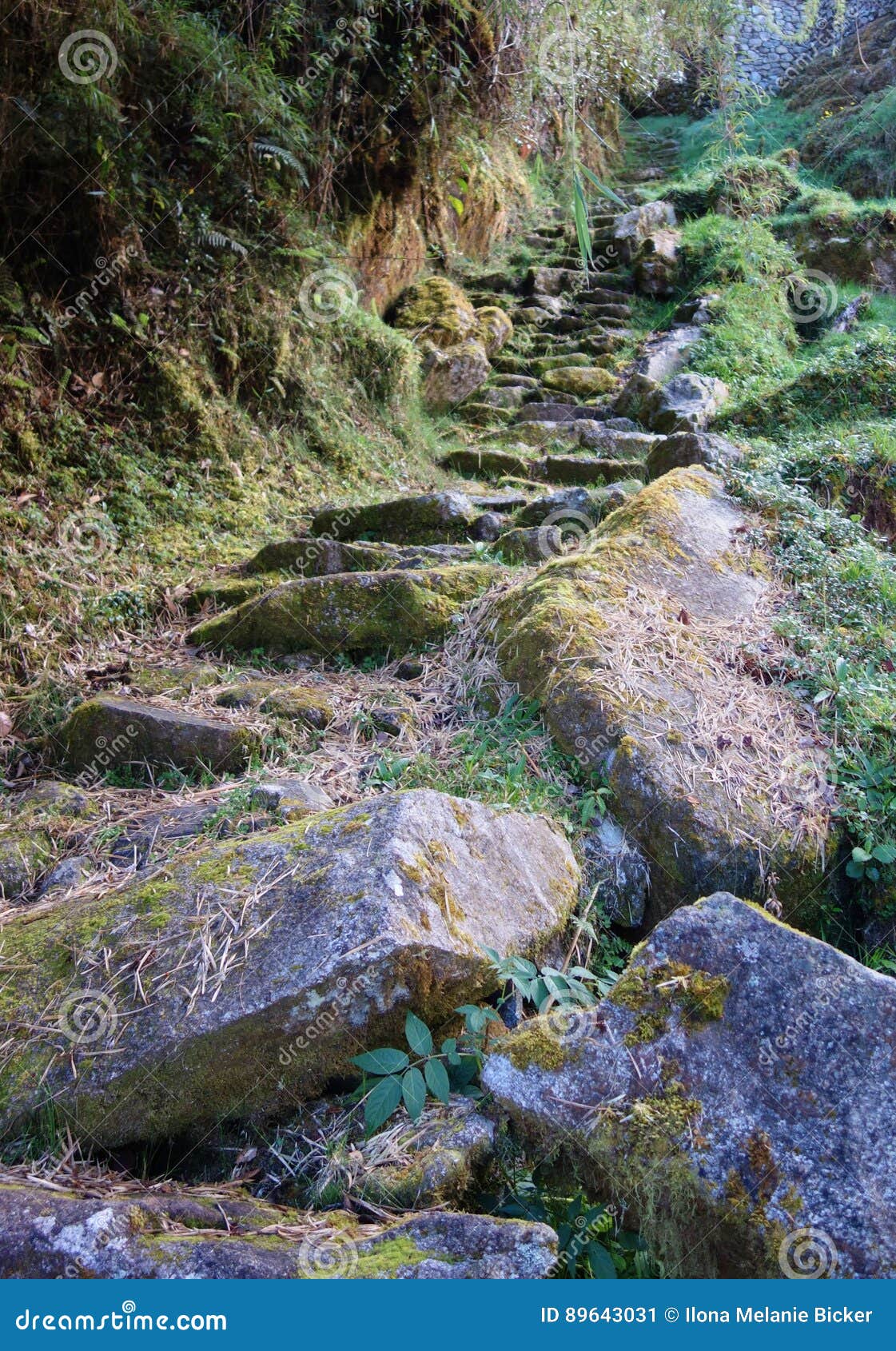 Old stone steps stock image. Image of inca, track, path - 89643031