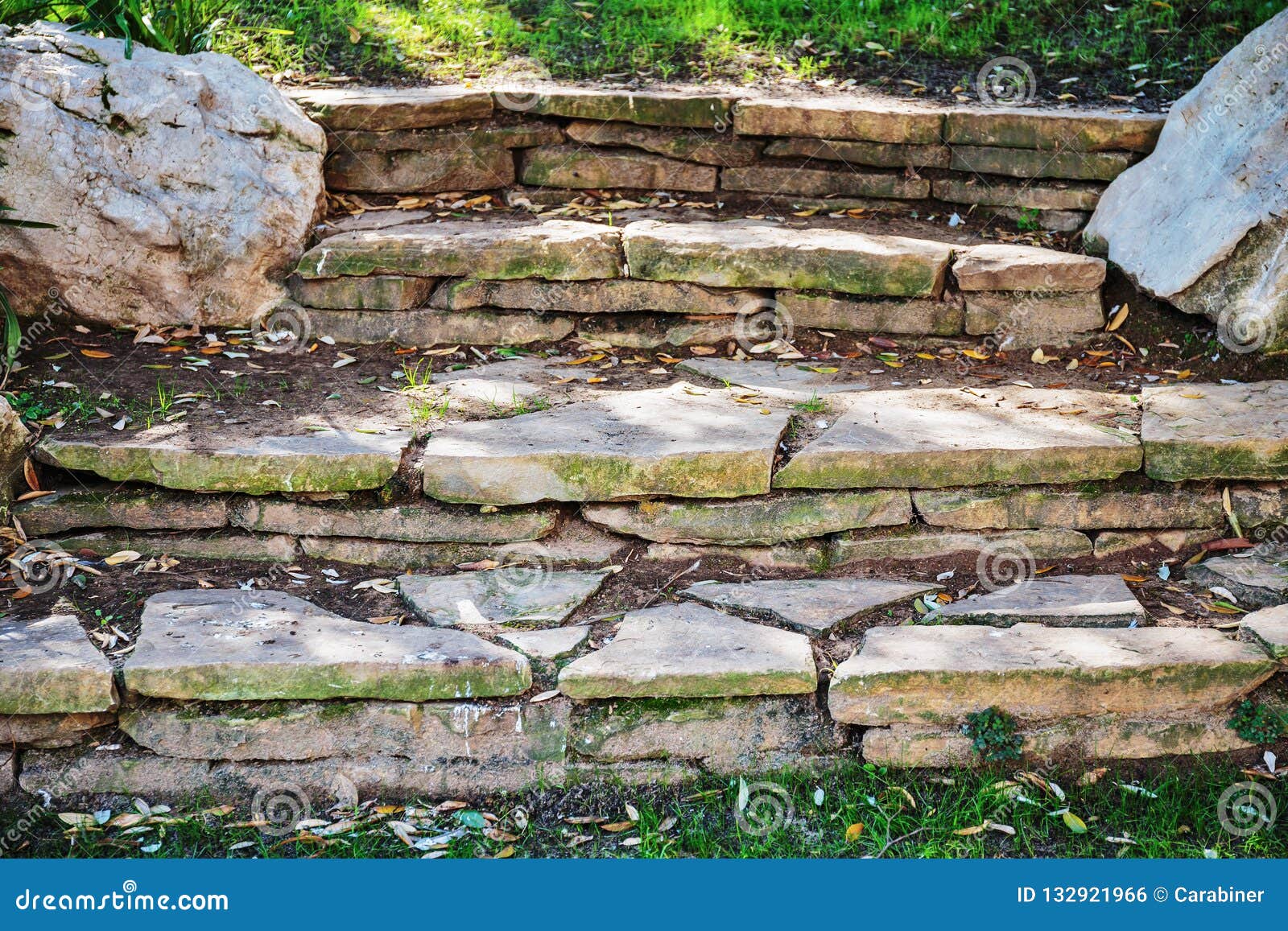 Old stone steps overgrown stock photo. Image of building - 132921966