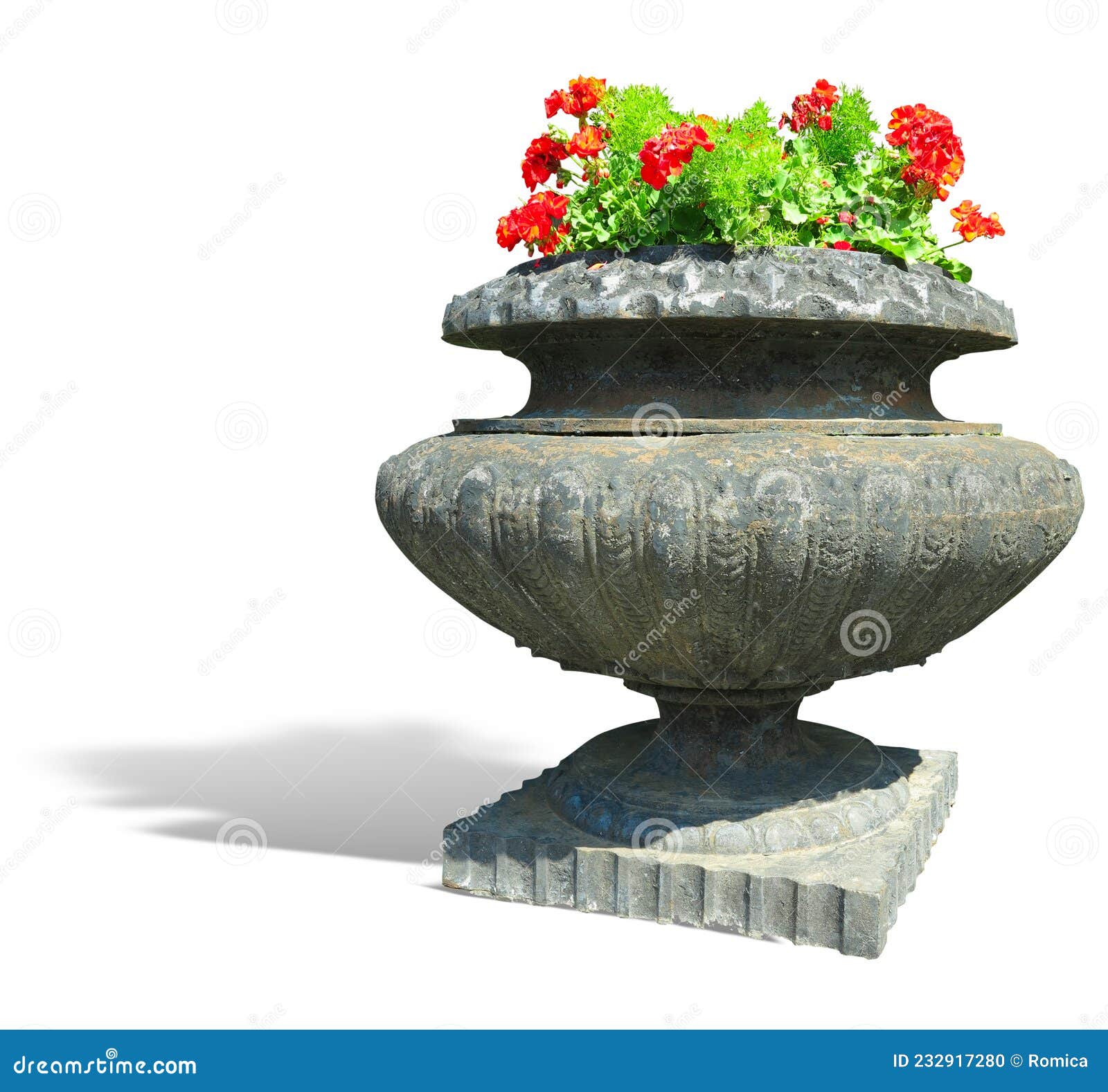 Old Stone Vase with Red Flowers Isolated on White Background Stock ...