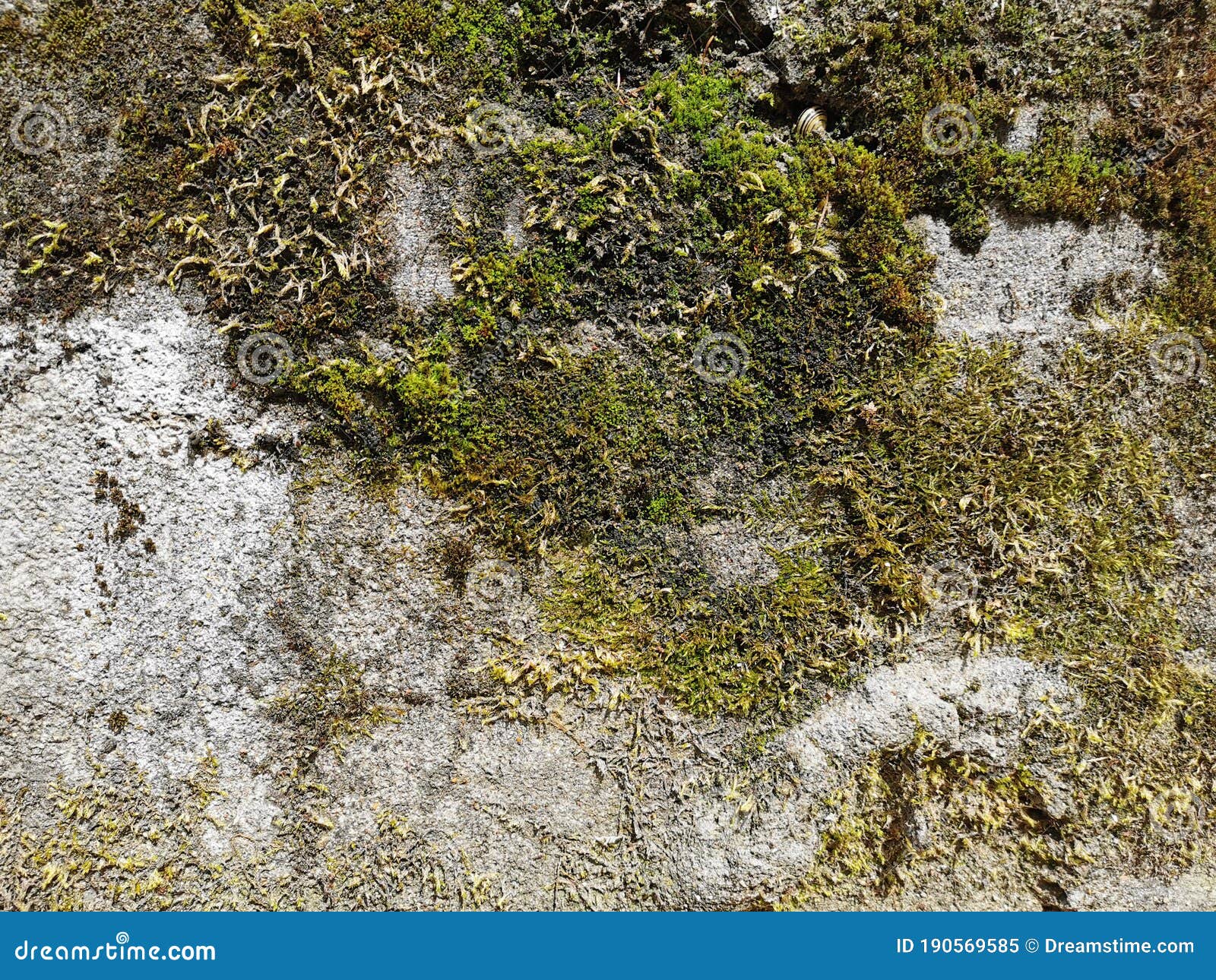 Old Stone with Moss Wall Texture Pattern Stock Image - Image of moss ...