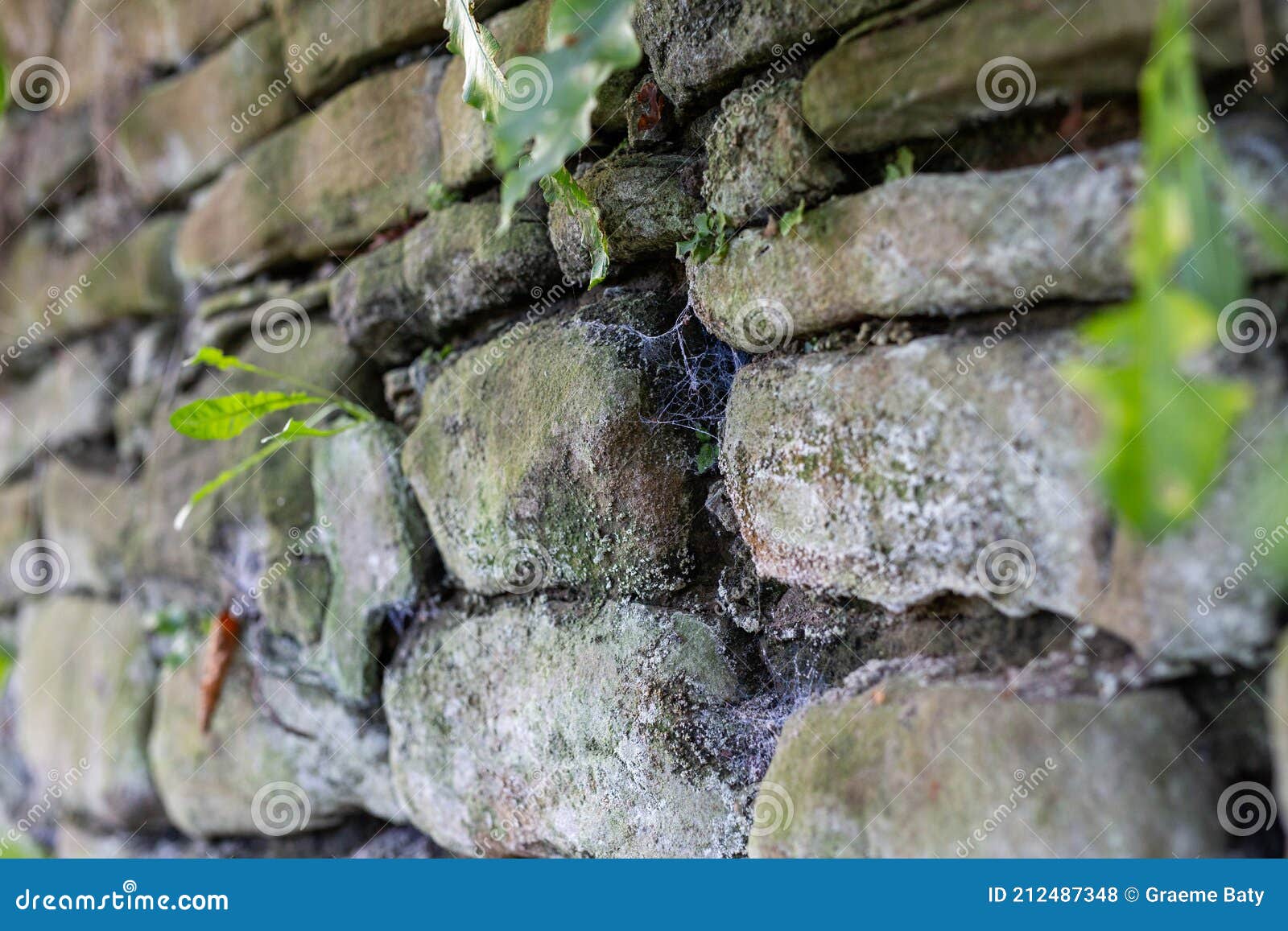 Old Stone Wall with Cobwebs and Out of Focus Elements Stock Photo ...