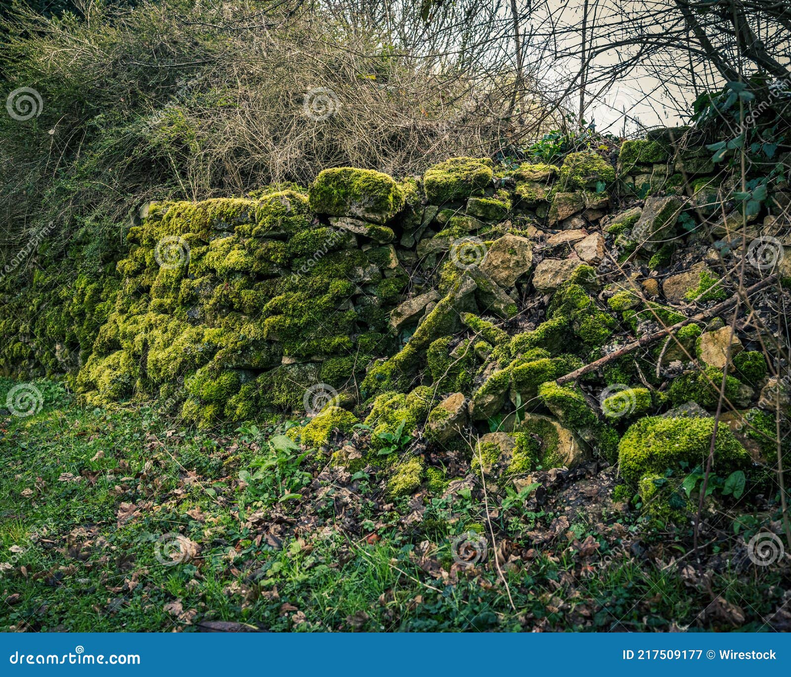 Old Stone Wall Covered with Moss Stock Image - Image of natural, scenic ...