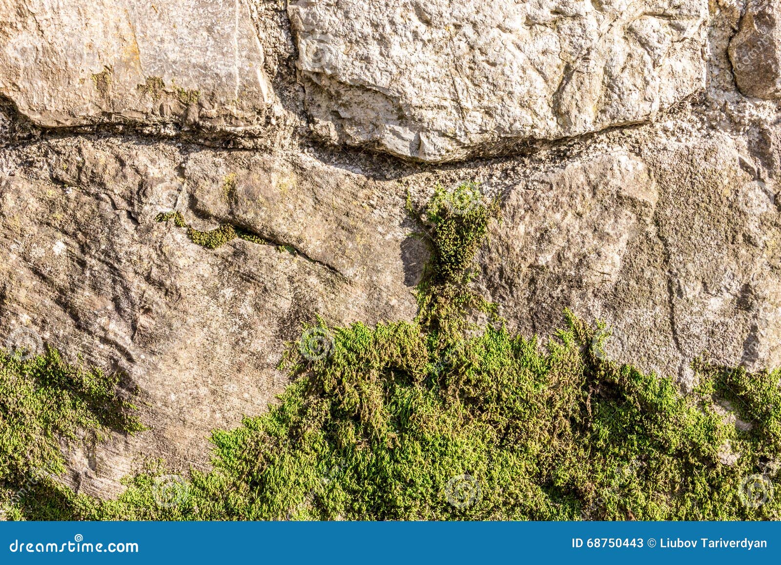 Old Stone Wall Covered by Moss Stock Image - Image of natural, covered ...