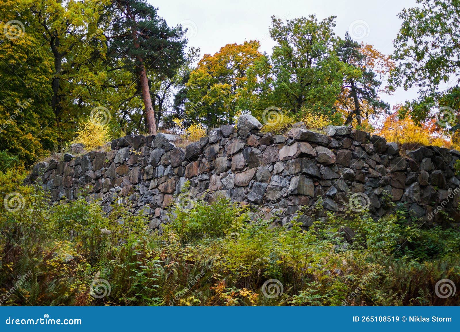 A Old Stone Wall in the Forest Stock Image - Image of outdoor ...