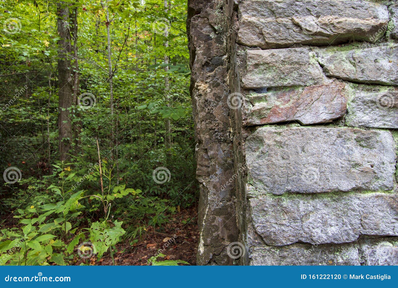 Old Stone Wall and Forest Close Up Stock Photo - Image of rock ...