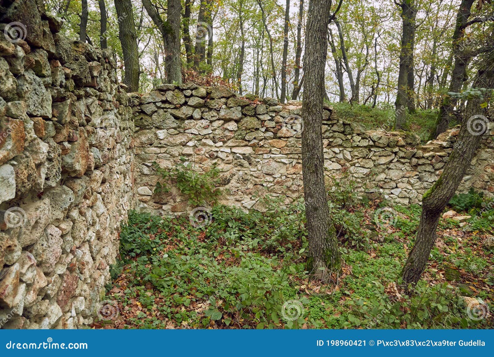 Old Stone Wall in a forest stock image. Image of fortress - 198960421