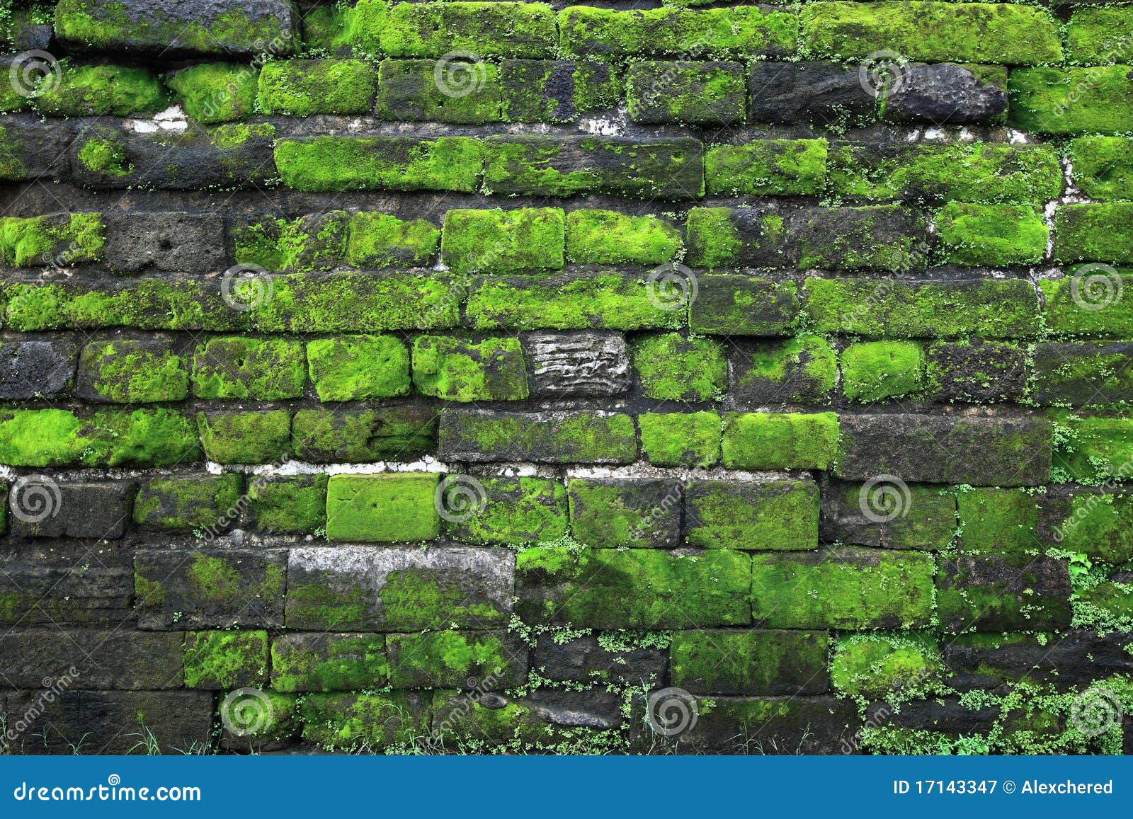 Texture of Old Stone Wall Covered Green Moss in Fort Rotterdam ...