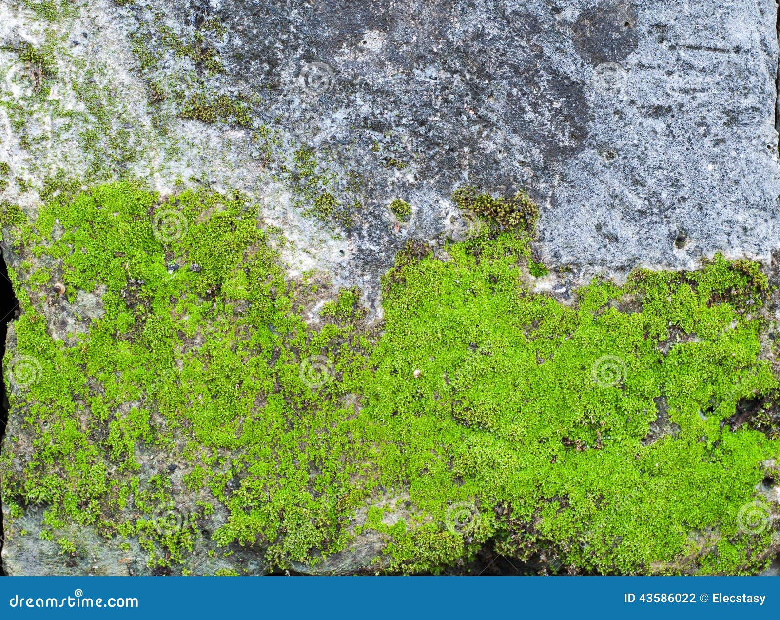 Old Stone Wall with Green Moss Stock Photo - Image of concrete, cement ...