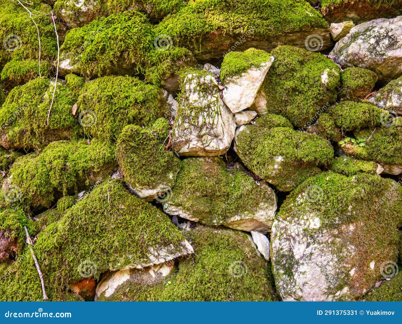 Old Stone Wall with Green Moss Front View Stock Image - Image of aged ...
