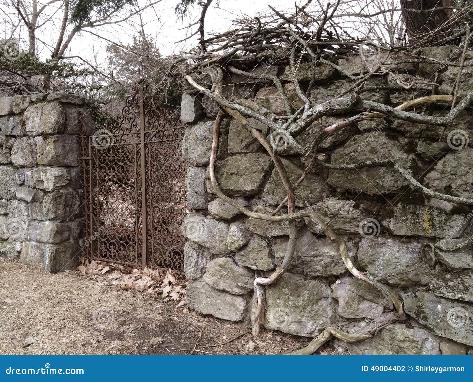 Old Stone Wall with Iron Gate Stock Photo - Image of ireland, stone ...
