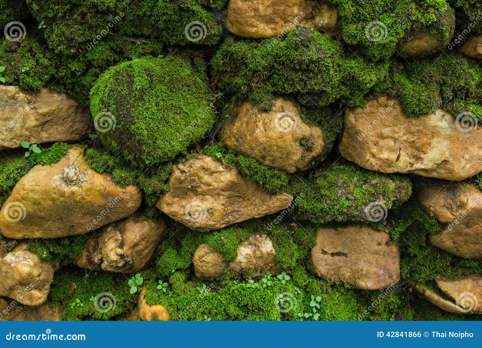 Old stone wall with moss stock photo. Image of horizontal - 42841866