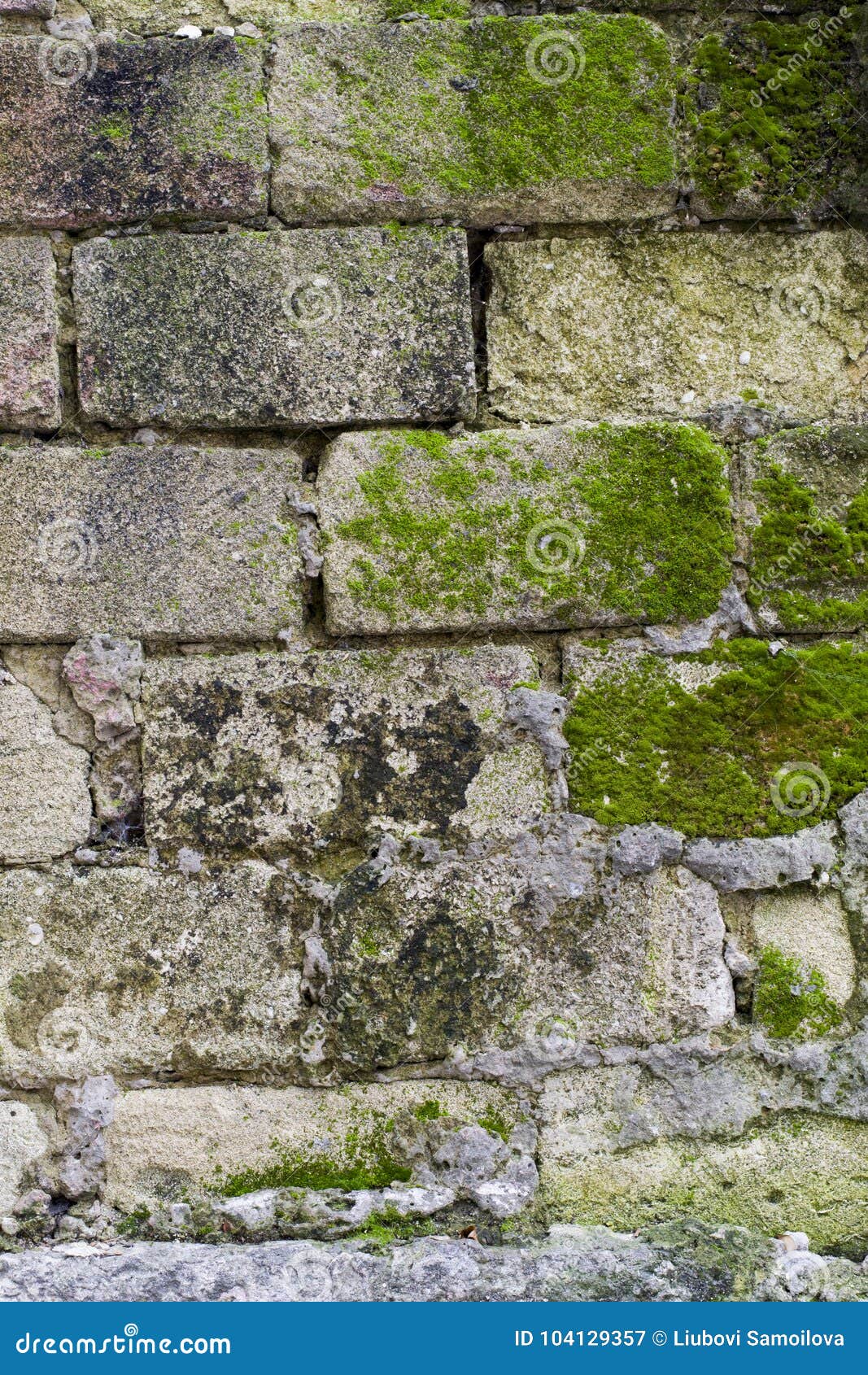 Old Stone Wall with Moss Texture Background Stock Image - Image of grey ...