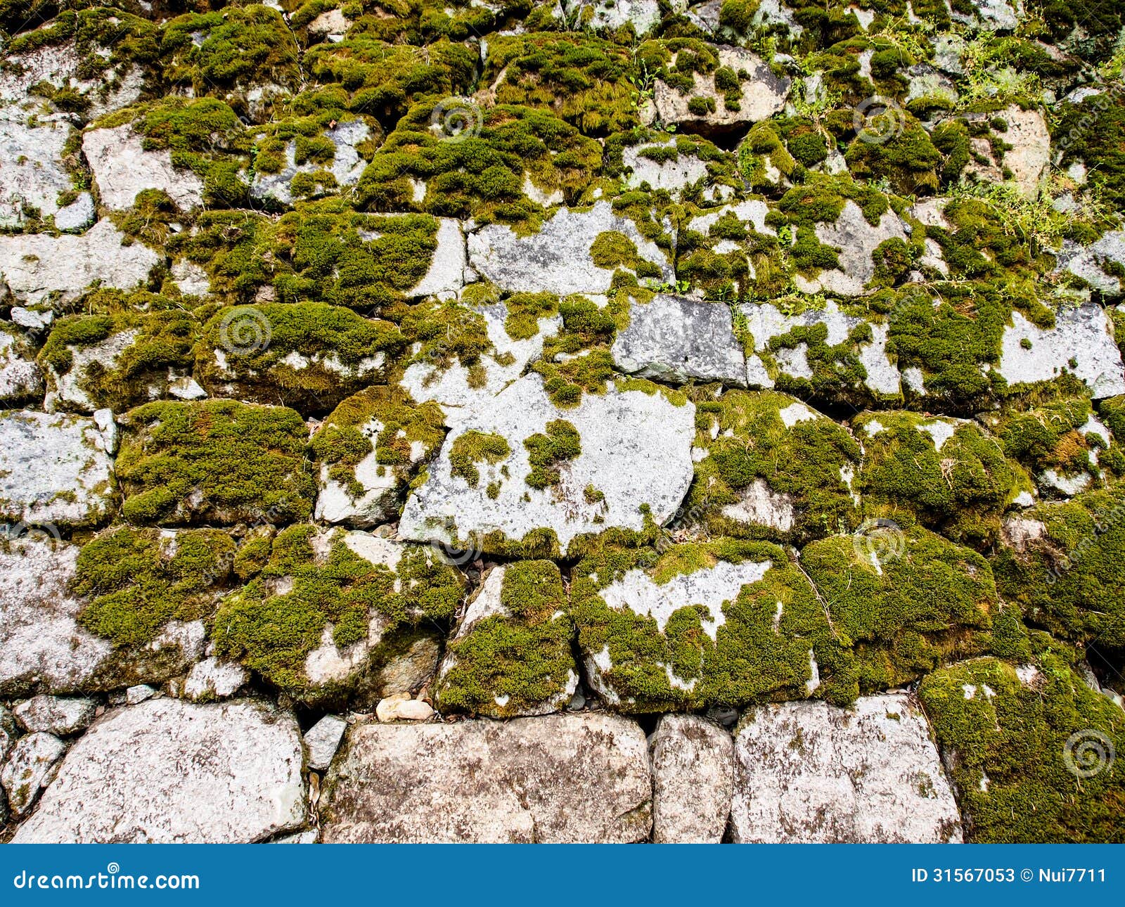 Old stone wall with moss stock image. Image of park, close - 31567053