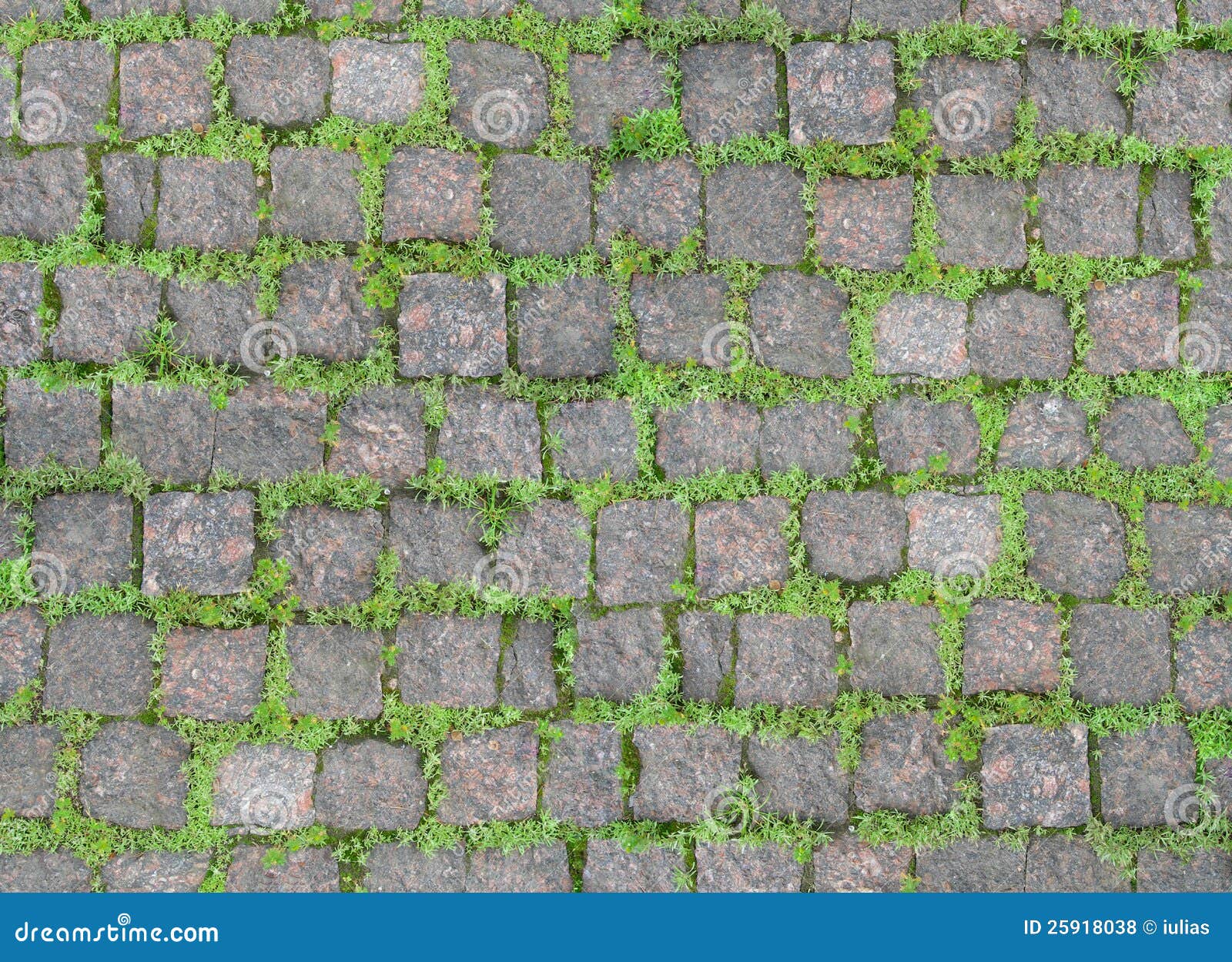 Wall Overgrown With Climbing Plant, Wall Texture Of Colorful Leaves For ...