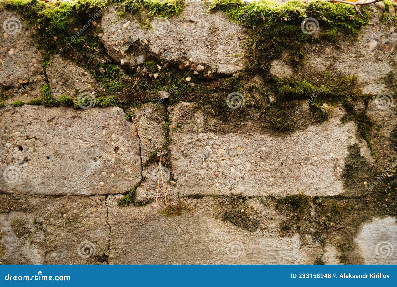 An Old Stone Wall Overgrown with Green Moss Stock Photo - Image of ...