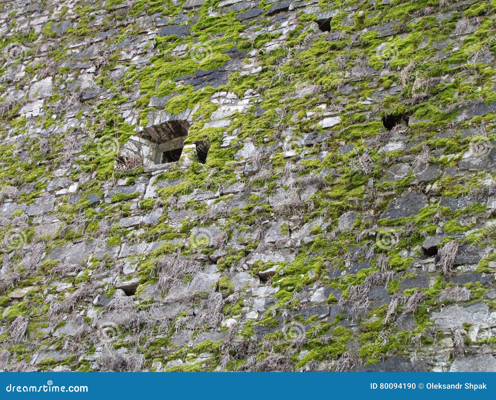 Old Stone Wall Overgrown with Moss Stock Photo - Image of house ...