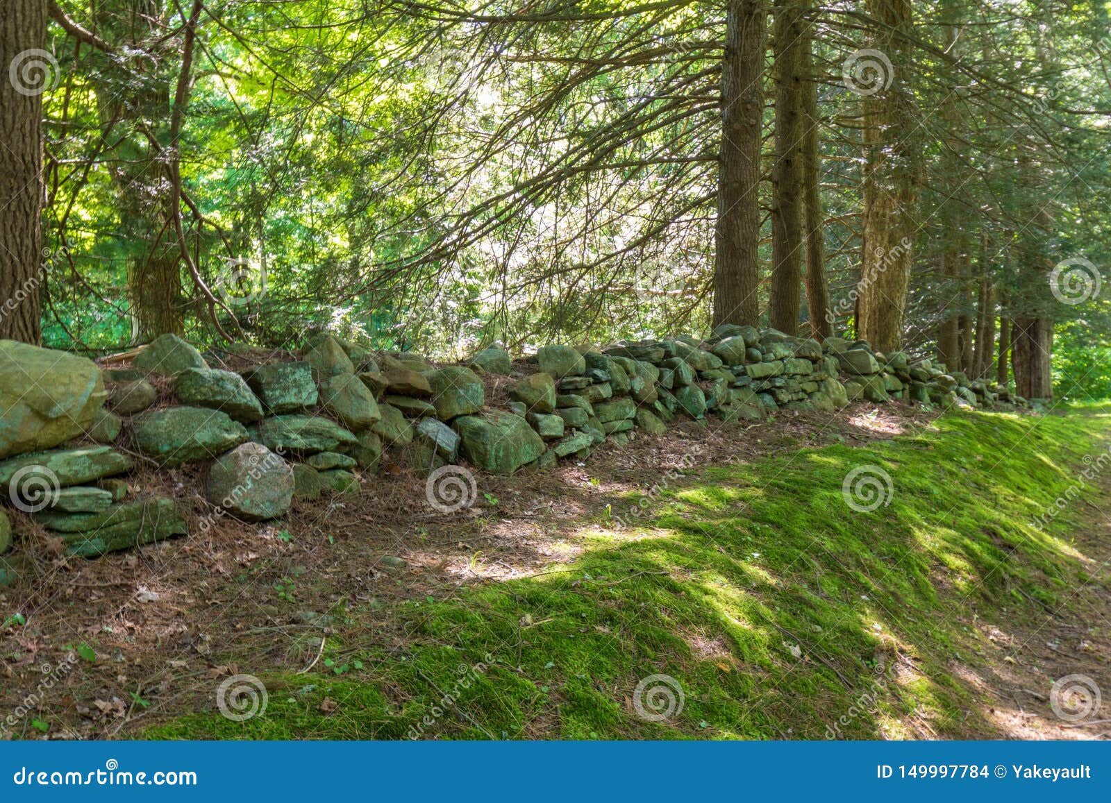 An Old Stone Wall Separates the Roadside from the Forest Stock Photo ...