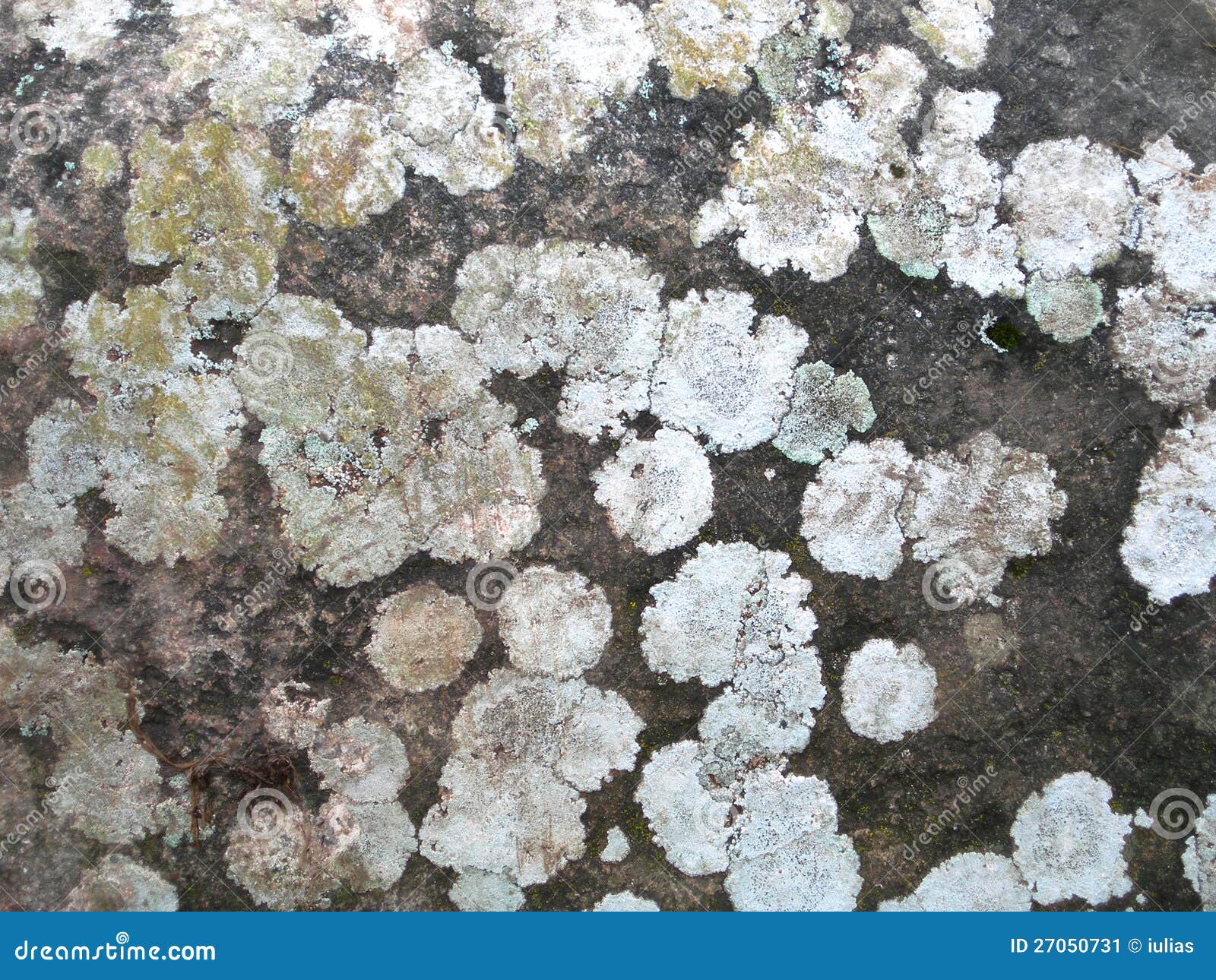 Old Stone Wall With White Lichen Stock Image - Image: 27050731