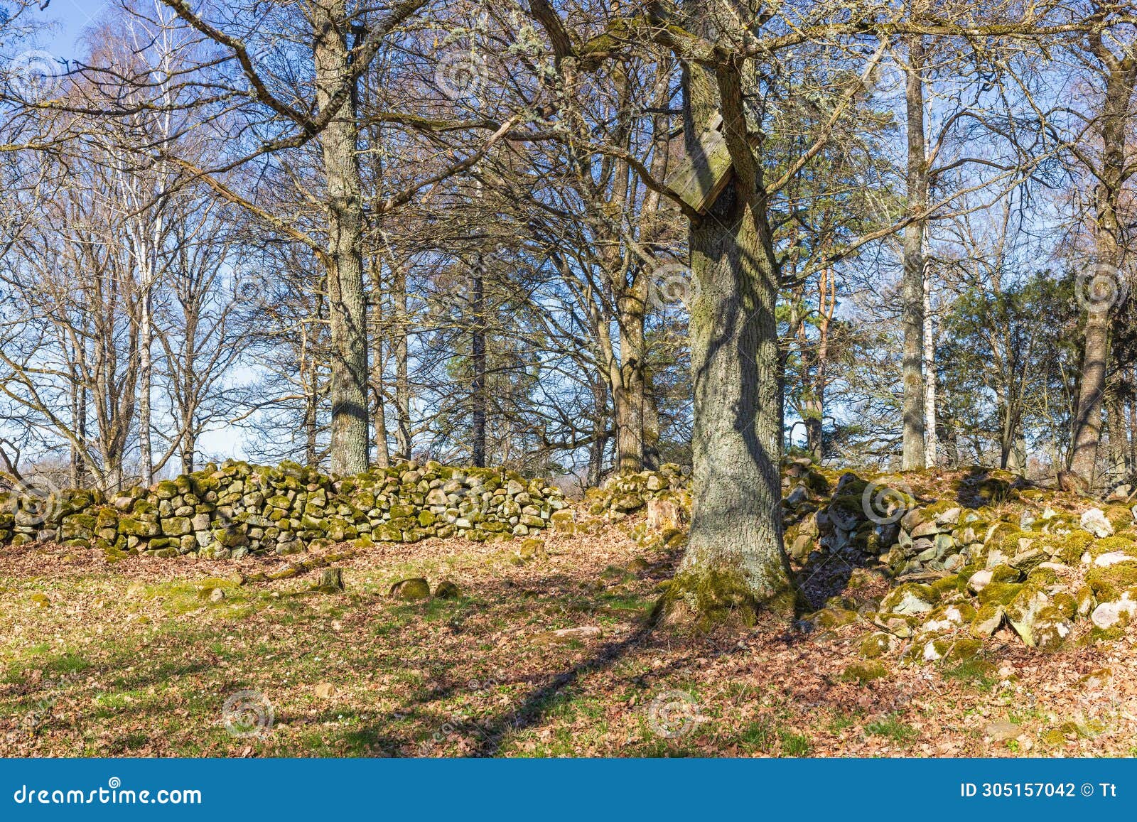 Old Stone Walls in an Old Cultural Landscape Stock Photo - Image of ...