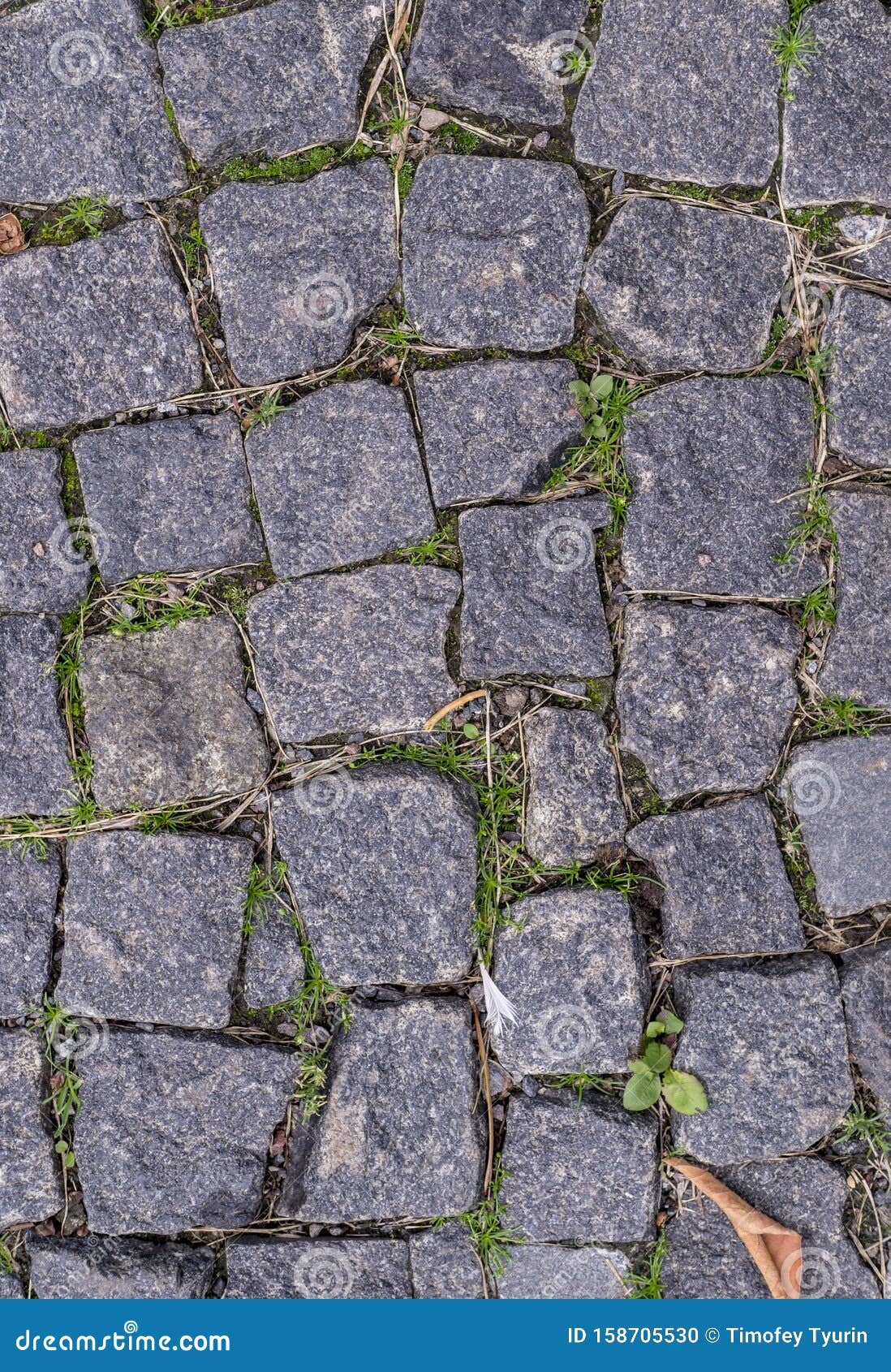 Old Stoneblock Pavement Cobbled With Square Granite Blocks With Grass ...