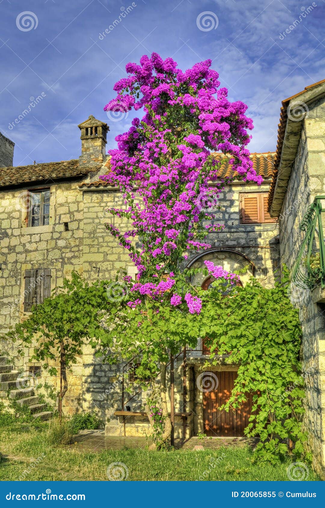Old Stonehouse and Tree in Bloom. Stock Image - Image of vintage ...