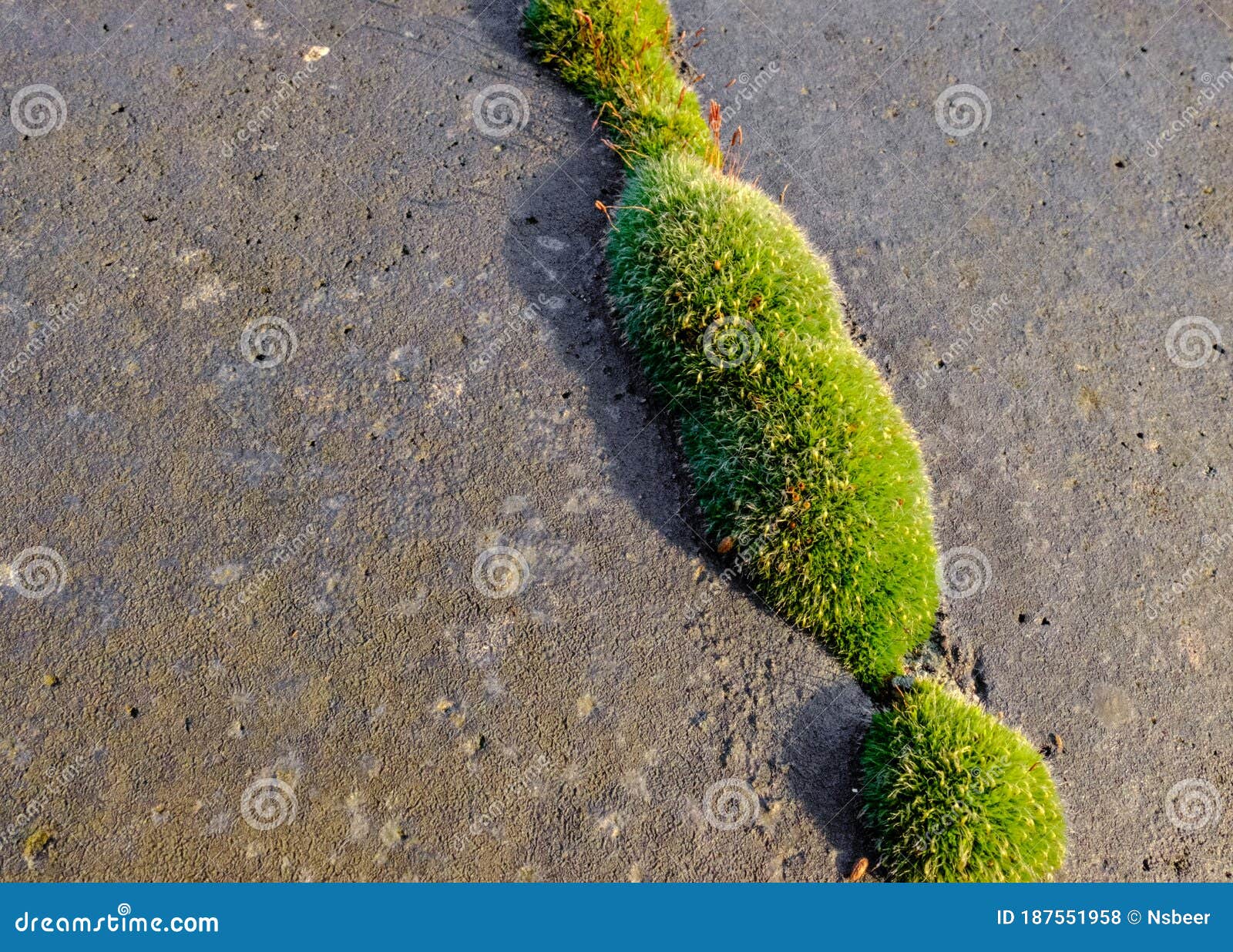 Boundary Wall Construction Colors Texture Stock Photo | CartoonDealer ...