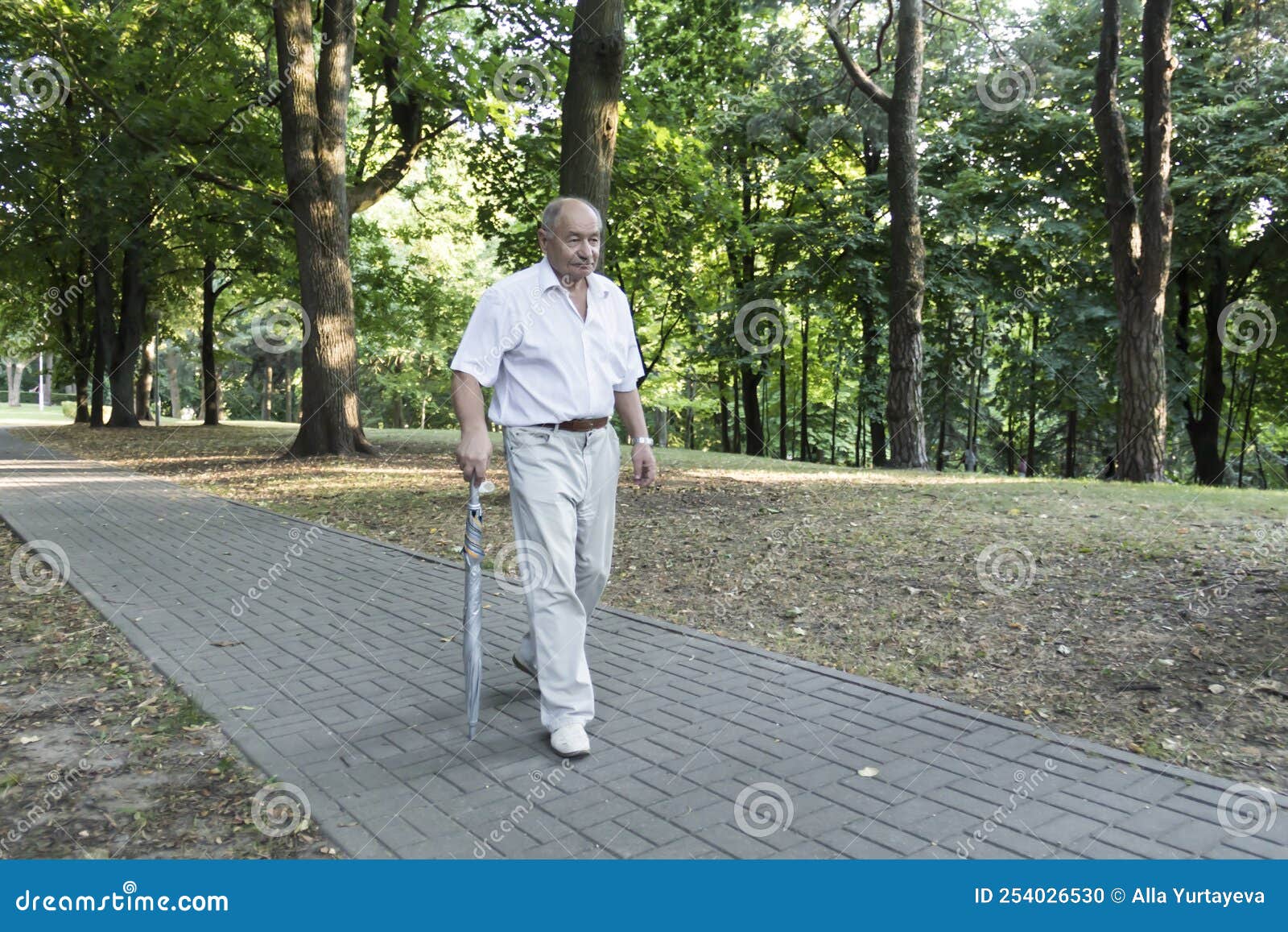 An Old, Stooped Man Walks Sullenly And Alone Along The Path In The Park ...