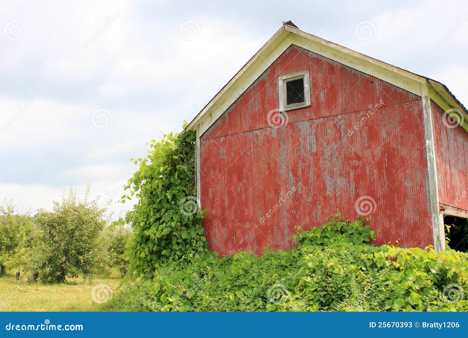 Old Storage Barn in the Country Stock Image - Image of building ...