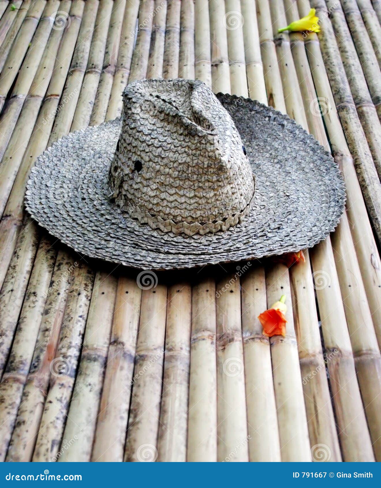 Old straw hat stock image. Image of headgear, paradise - 791667