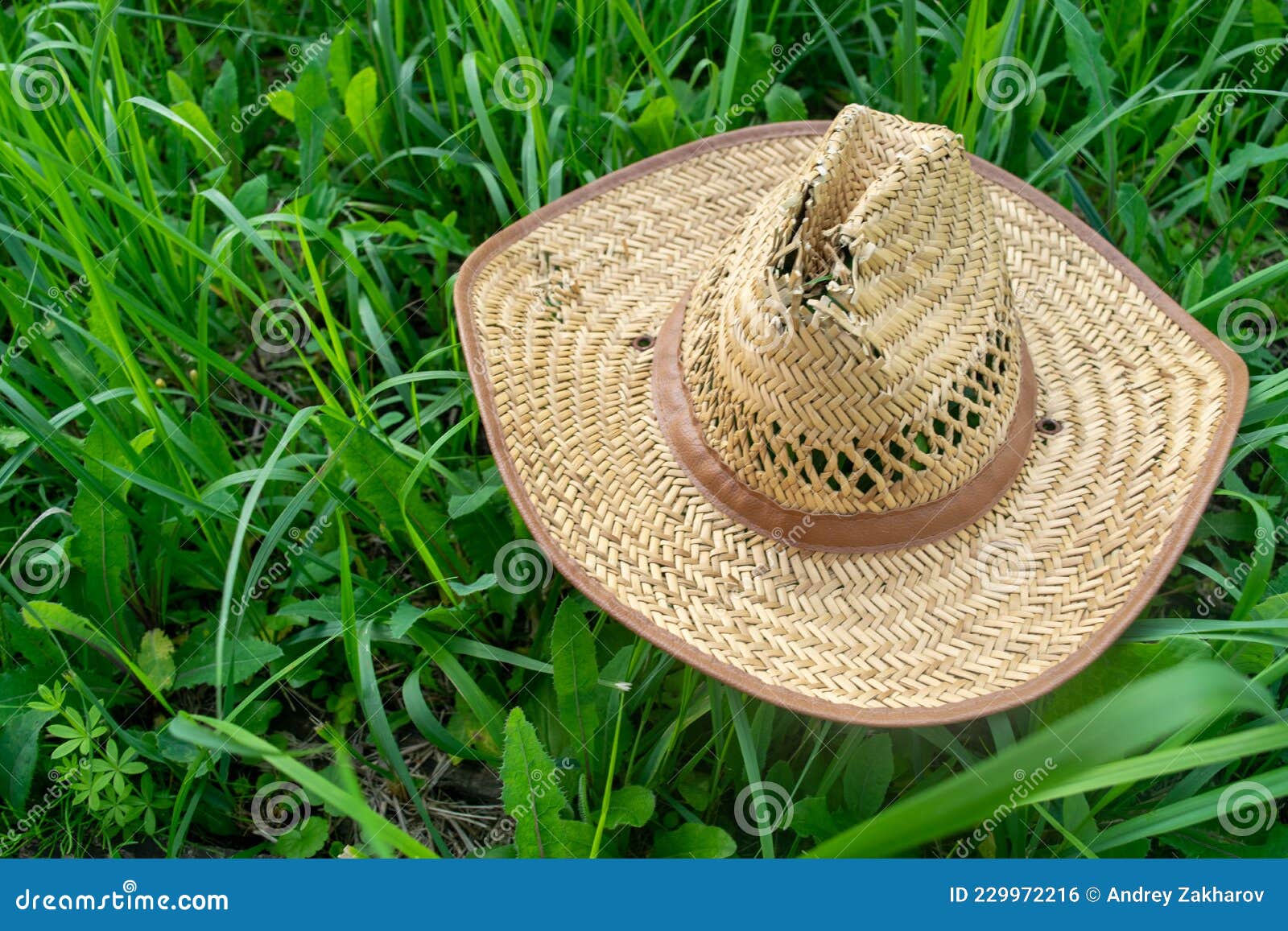 An Old Straw Hat on the Green Grass, Close-up, Selective Focus Stock ...