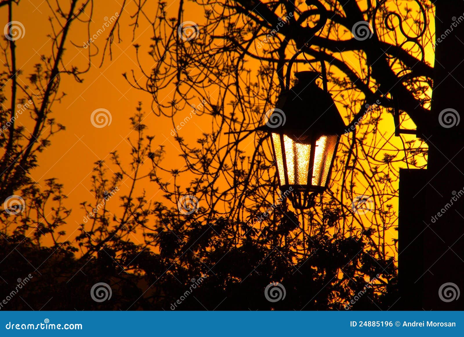 Halloween street lamp stock photo. Image of flare, glare - 24885196