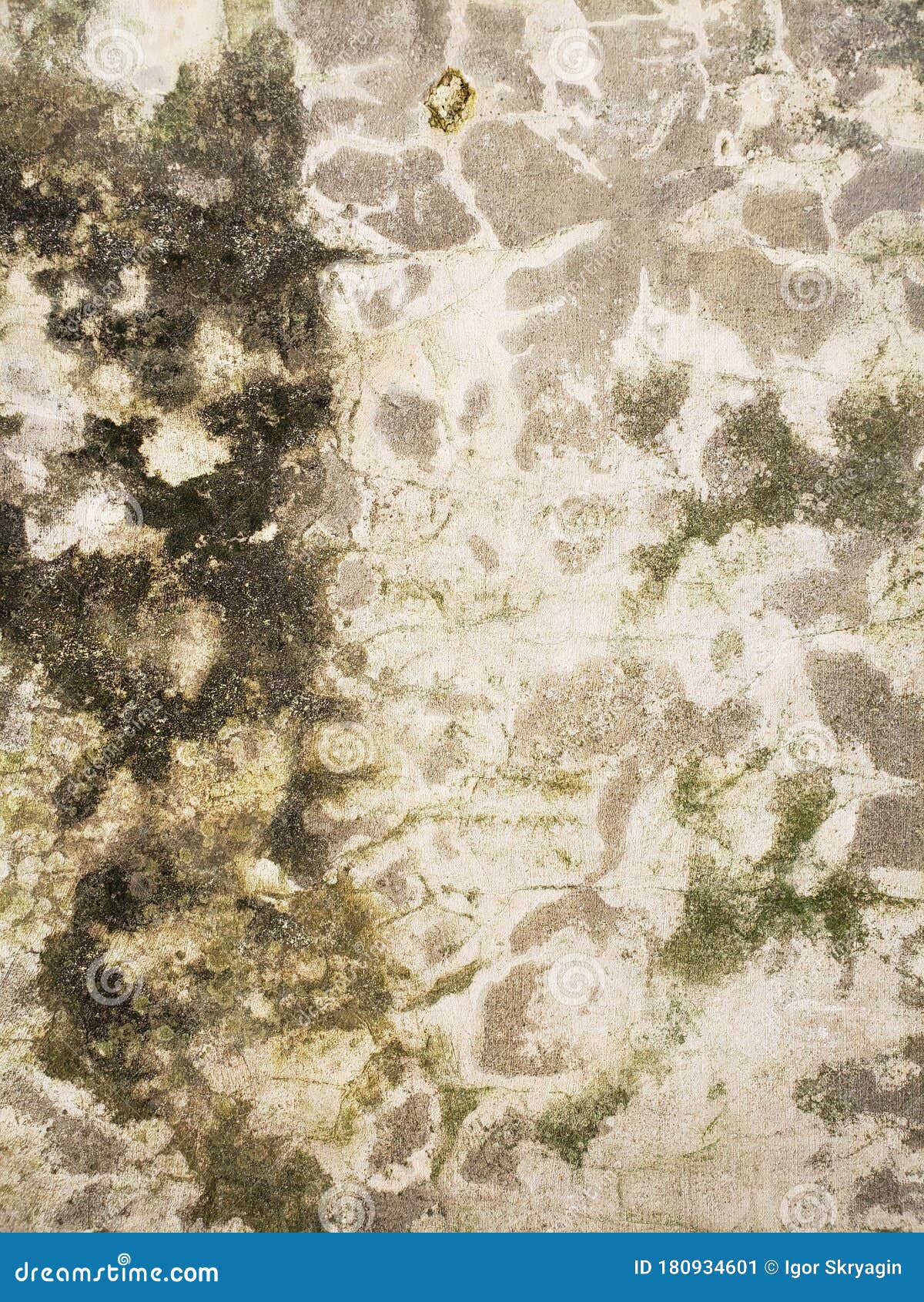 Old stucco with mold stock image. Image of grey, construction - 180934601