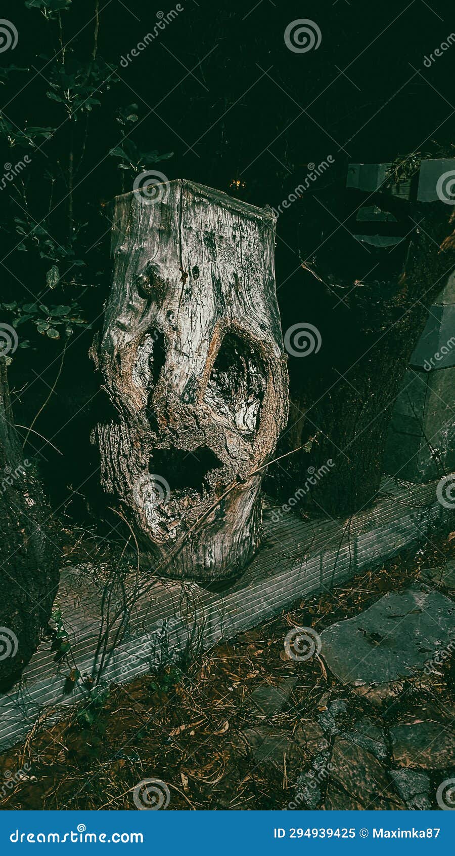 Old Stump in Form of Scary Head, Horror Stock Image - Image of figure ...