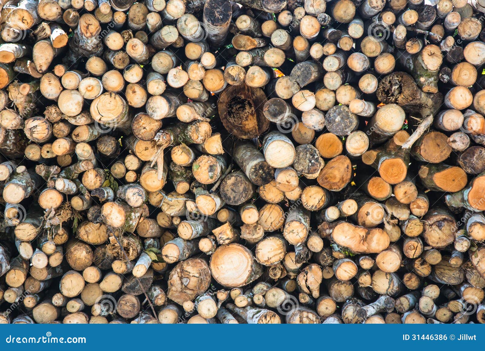 Old stump pattern stock photo. Image of lumber, round - 31446386