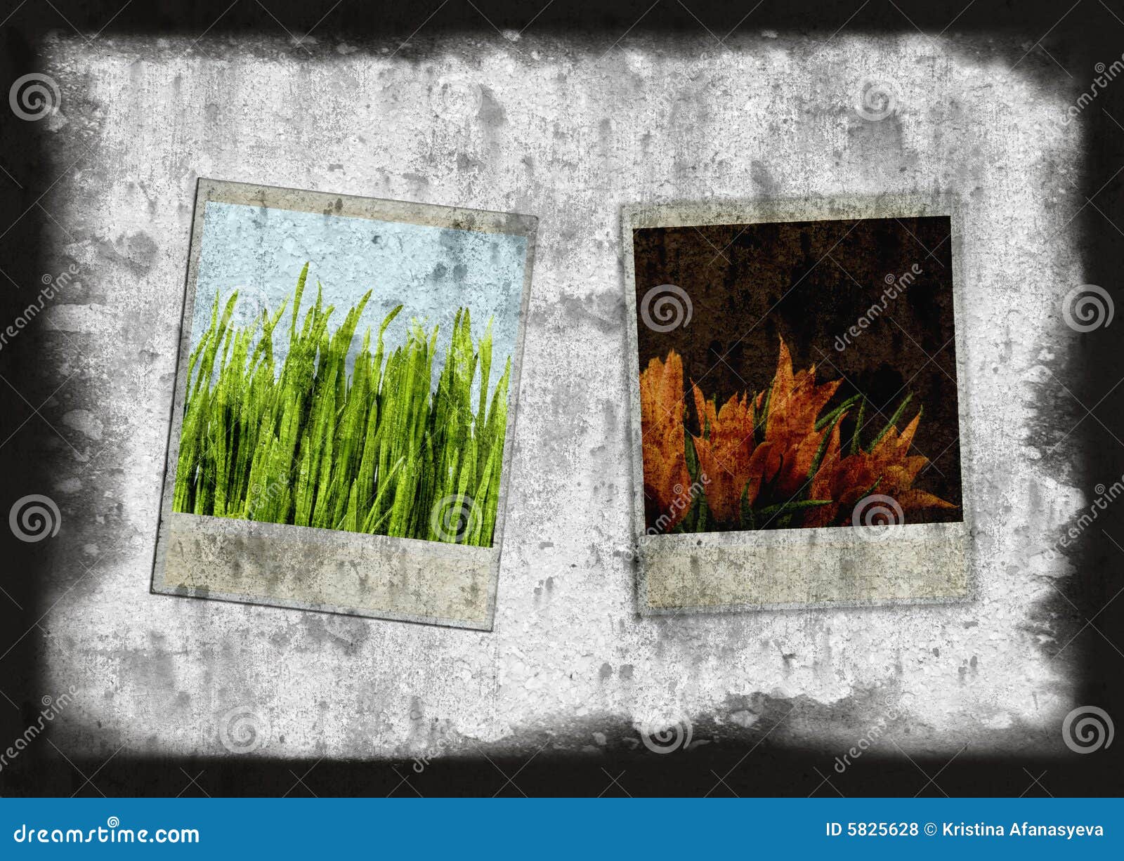 Old Style Camera Frames stock illustration. Illustration of creativity ...
