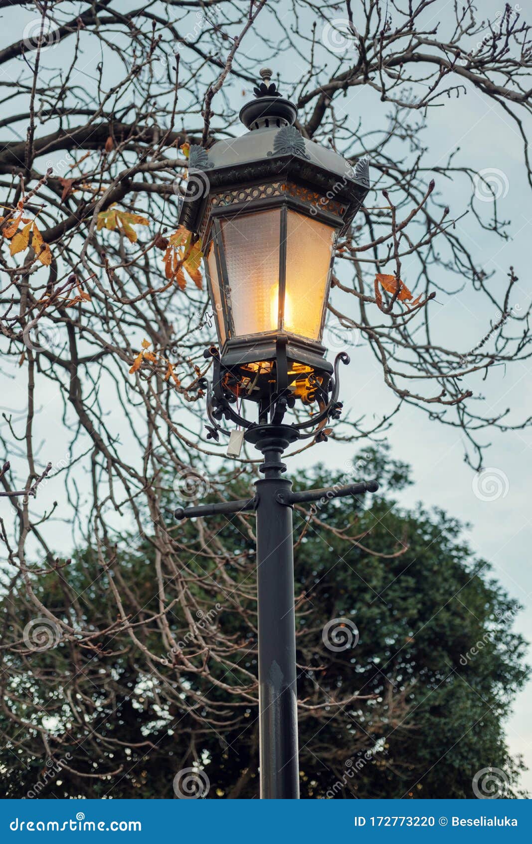 Old Style Lamp Post in Front of a Leafless Tree Branches Stock Photo ...