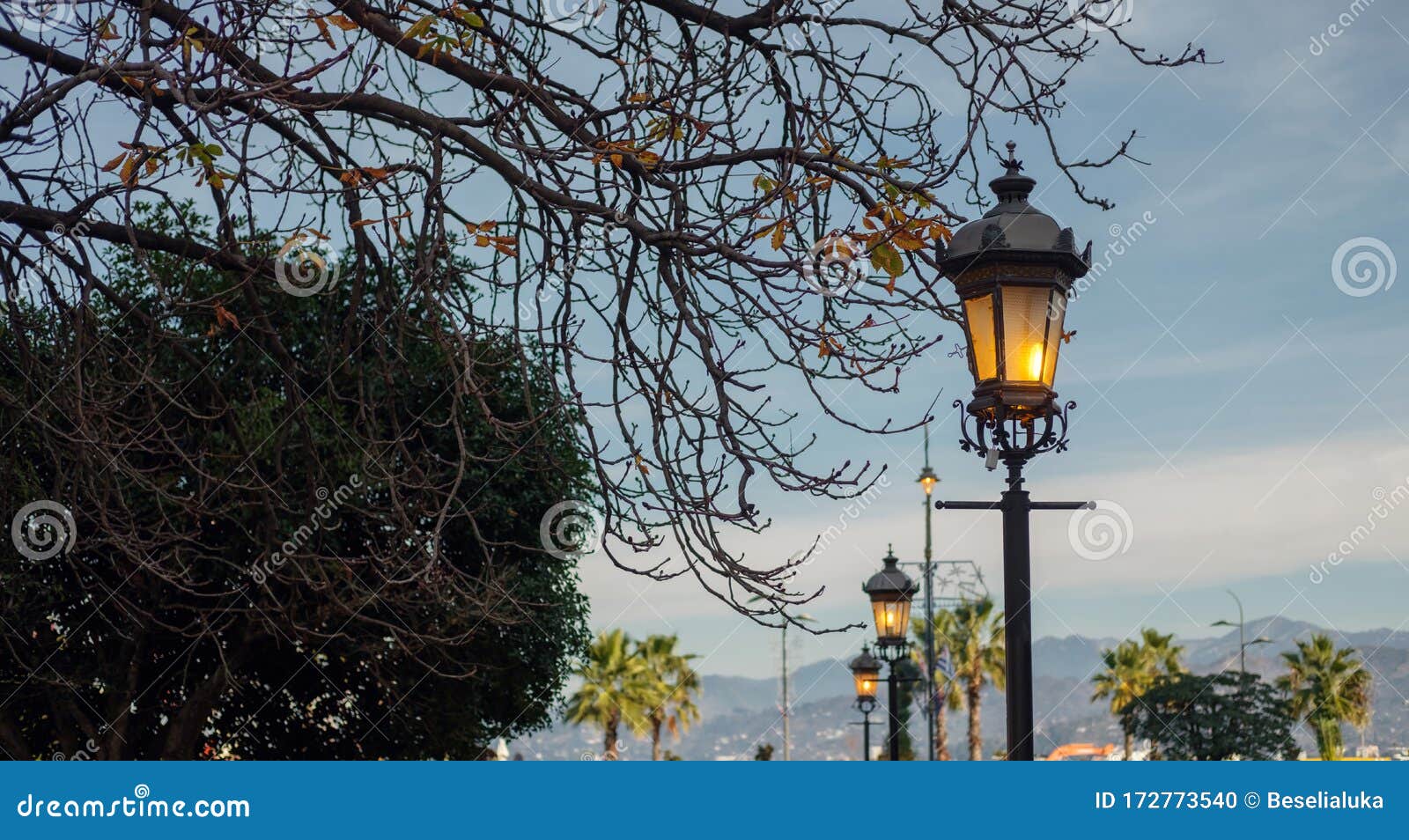 Old Style Lamp Post in Front of a Leafless Tree Branches Stock Photo ...