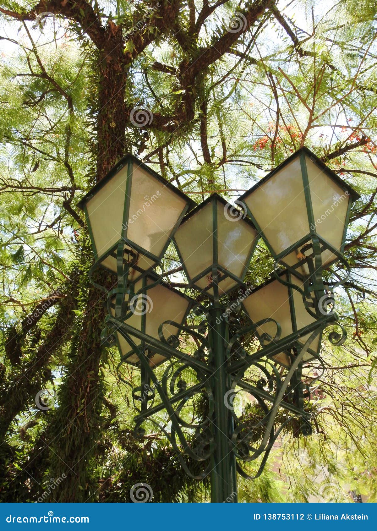 Old Style Lamp Post in Front of a Leafy Tree. Stock Photo - Image of ...