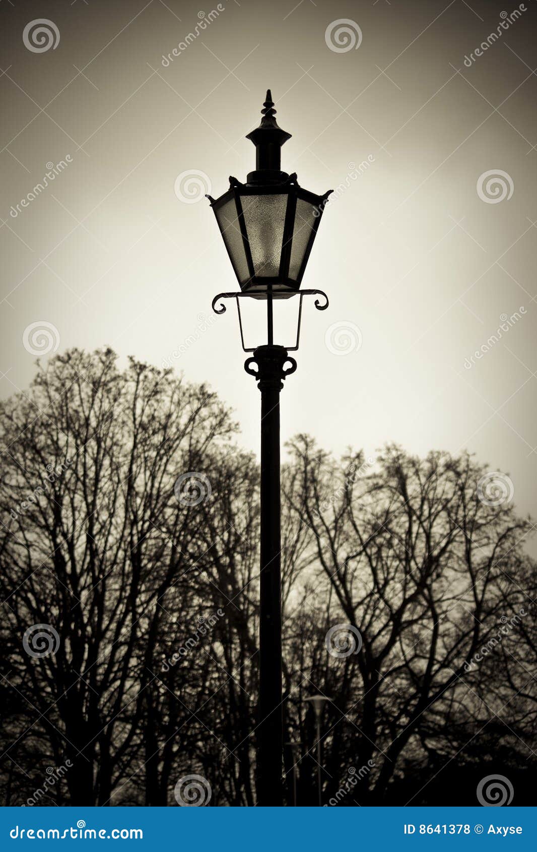 Old Style Lantern with Trees in Background Stock Photo - Image of dusk ...
