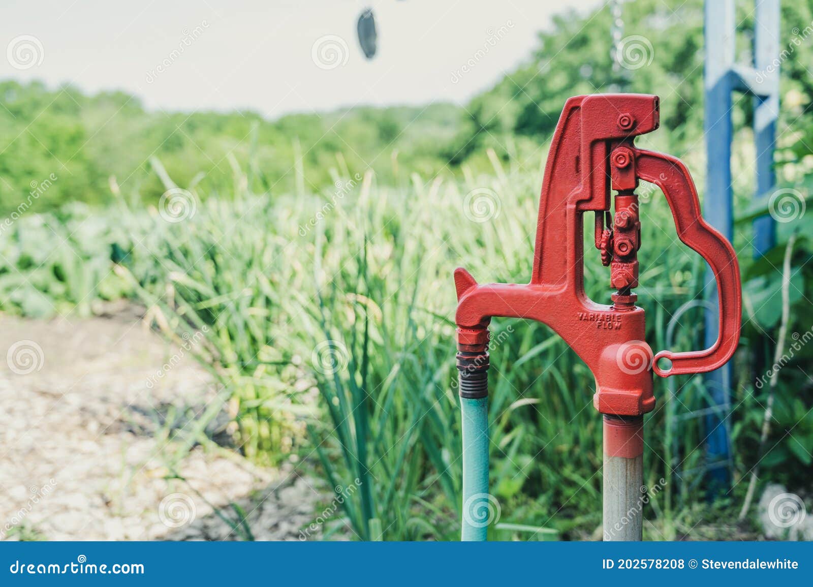 Old Style Mechanical Self Draining Hydrant in Blurred Rural Garden ...